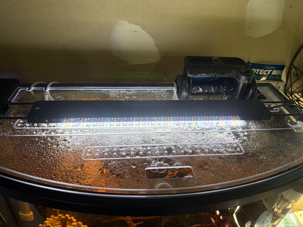 Clear Lid for TopFin® Tanks All Sizes – Walter Lids