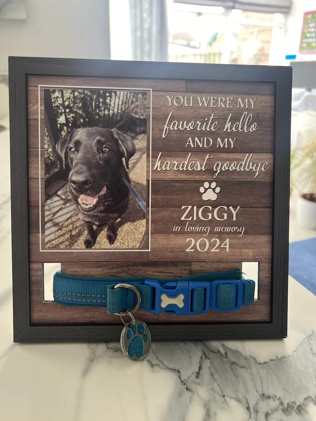 Custom Photo My Hardest Goodbye - Memorial, Sympathy Gift For Dog Owne ...