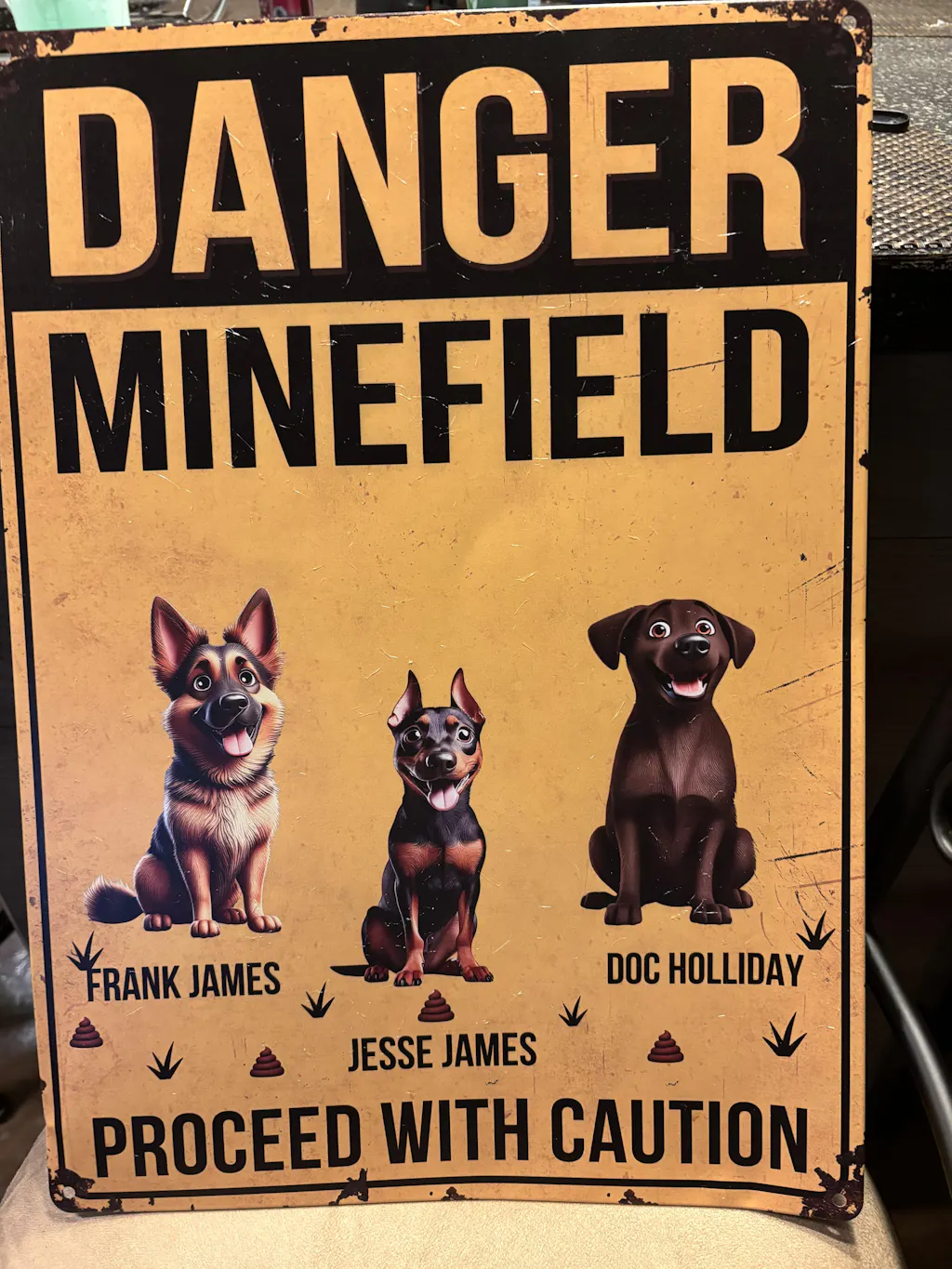 Danger Minefield Proceed With Caution - Personalized Classic Metal Sig ...