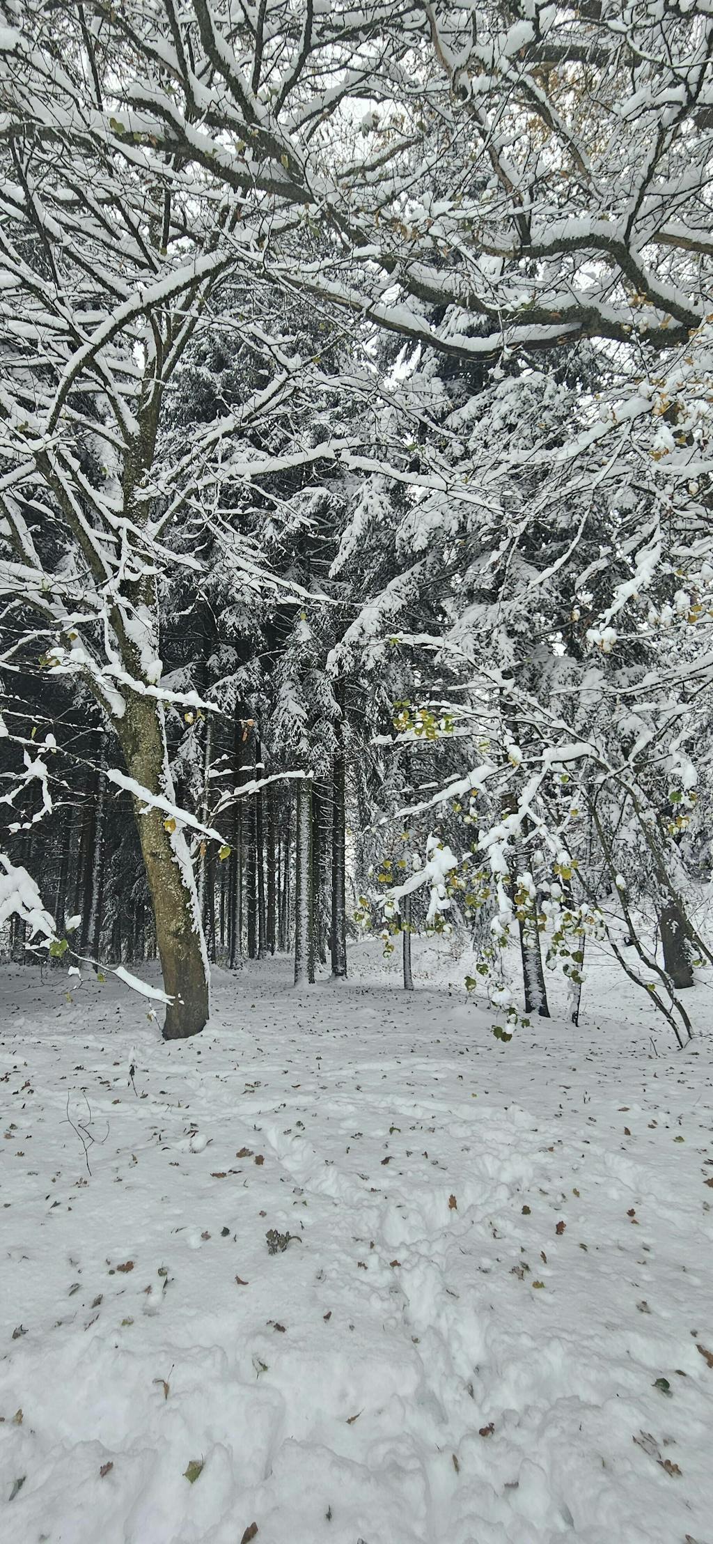Washo: Einfach nachhaltig für Haushalt und Körperpflege – washo.ch
