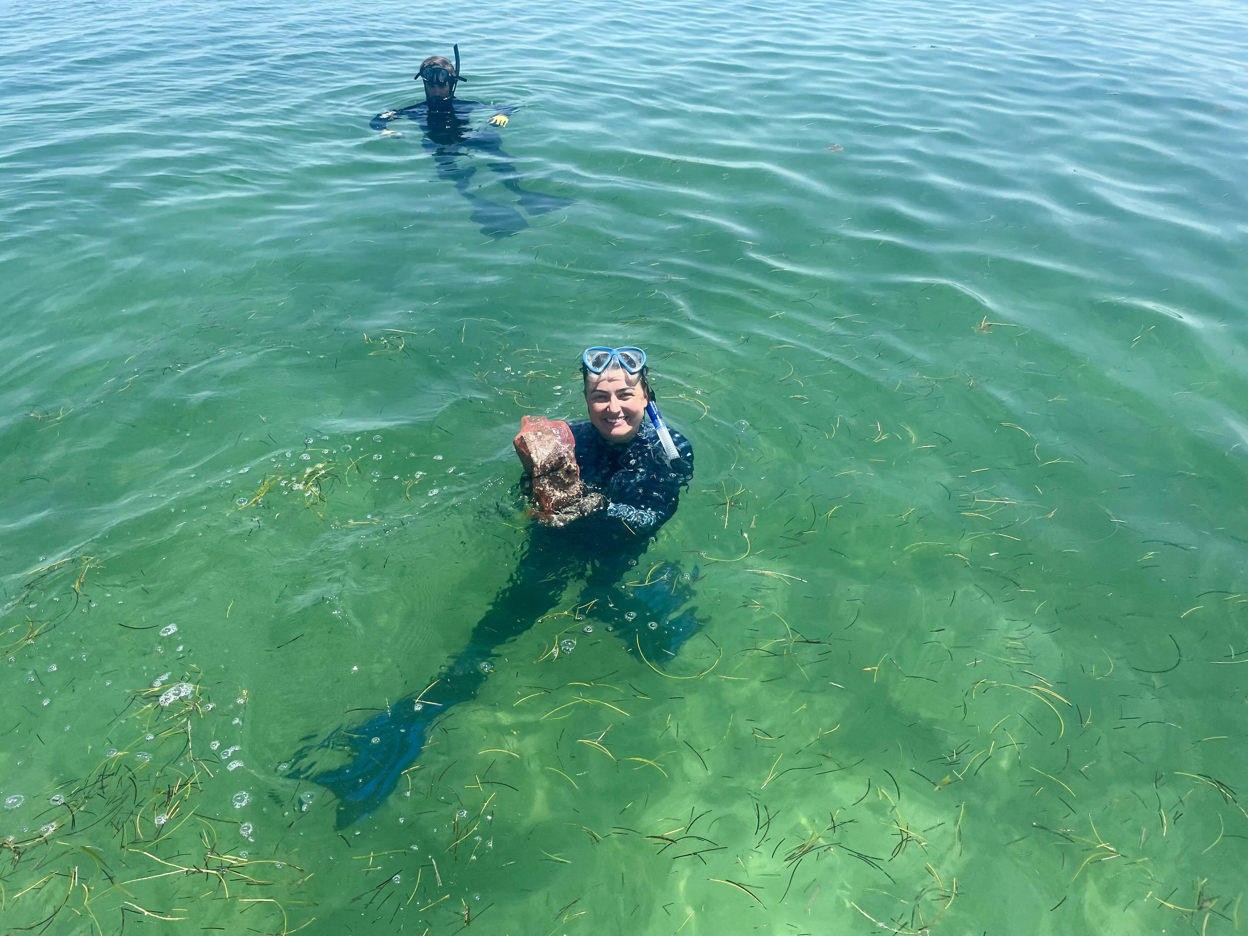 Whale Shark Dive Skin | Surf Suit | Long Sleeve One Piece Swim Suit ...