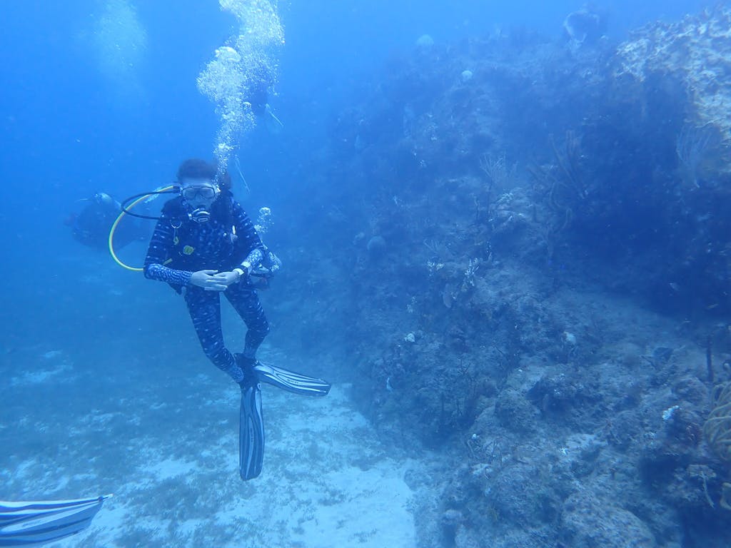 Whale Shark Dive Skin | Surf Suit | Long Sleeve One Piece Swim Suit ...