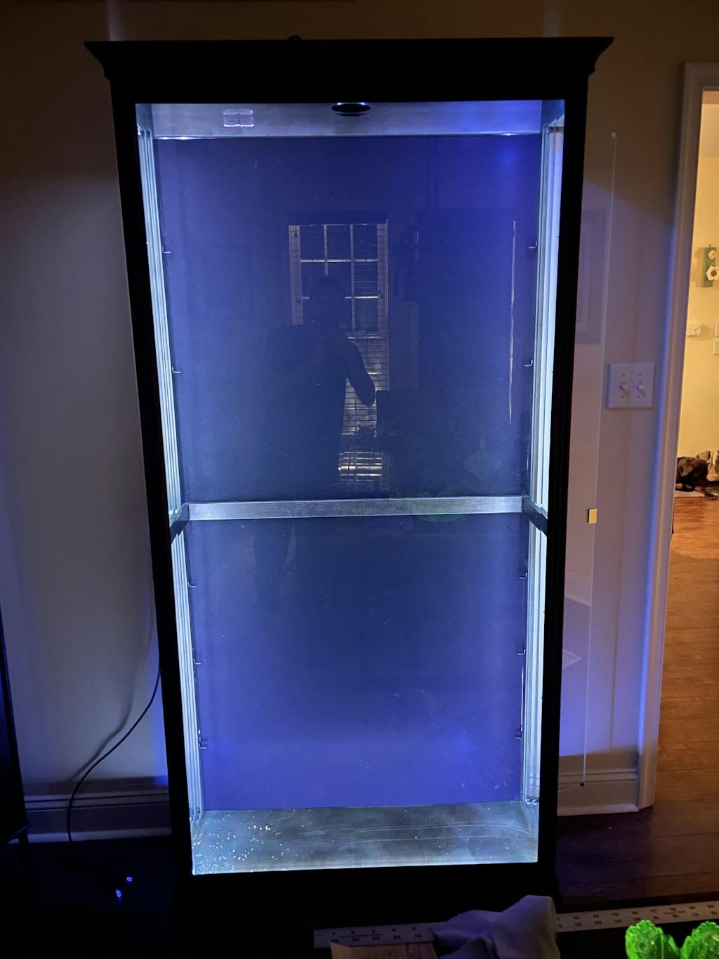 realUV™ LED Strip Lights – Waveform Lighting