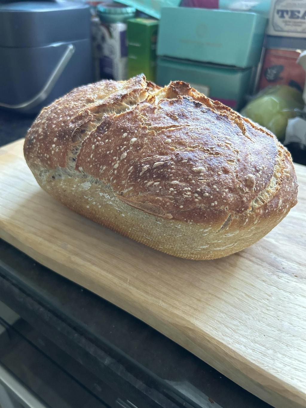 LoafNest: Incredibly Easy Artisan Bread Kit – WEkigai Webshop