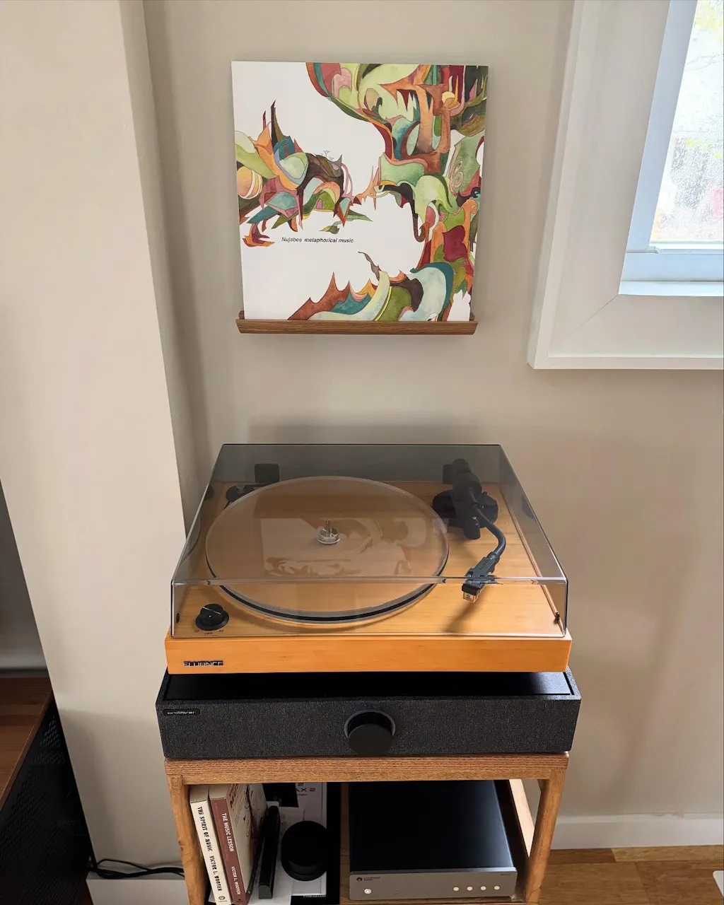 Visible Vinyl | Vinyl Record Wall Mount Display | Well Made