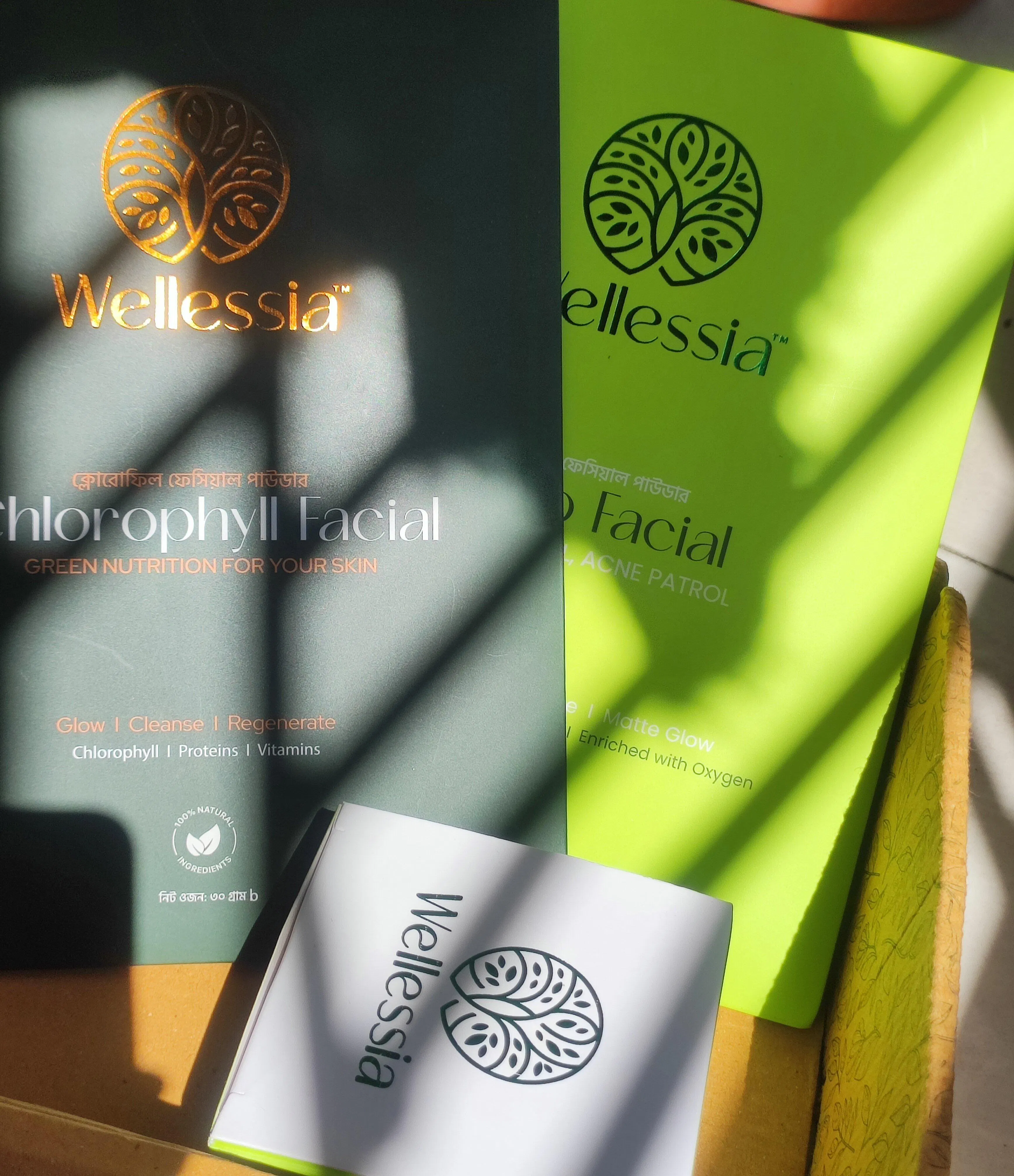 Acno Combo (Facial, Serum, Gel) – Wellessia