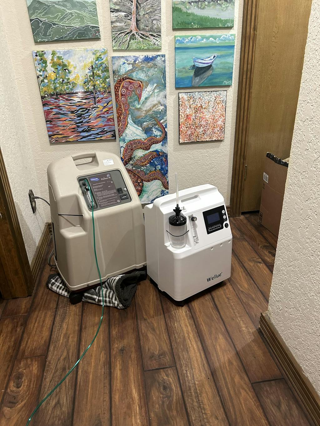 5L Oxygen Concentrator (FDA-Cleared) Delivers Supplemental Oxygen 24/7 ...