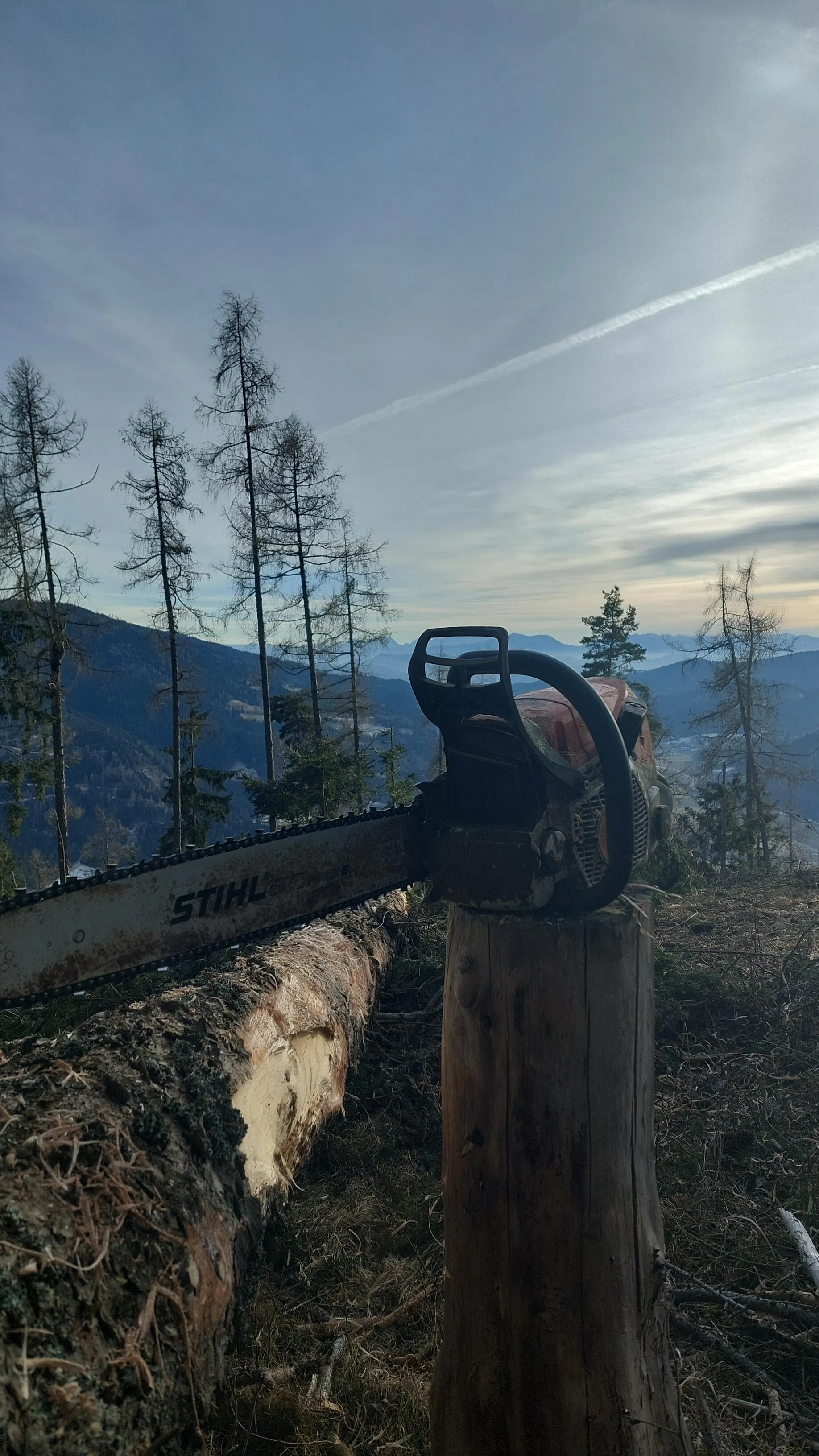 Shop Barkbox Saw Muffler Cover Online Westcoast Saw