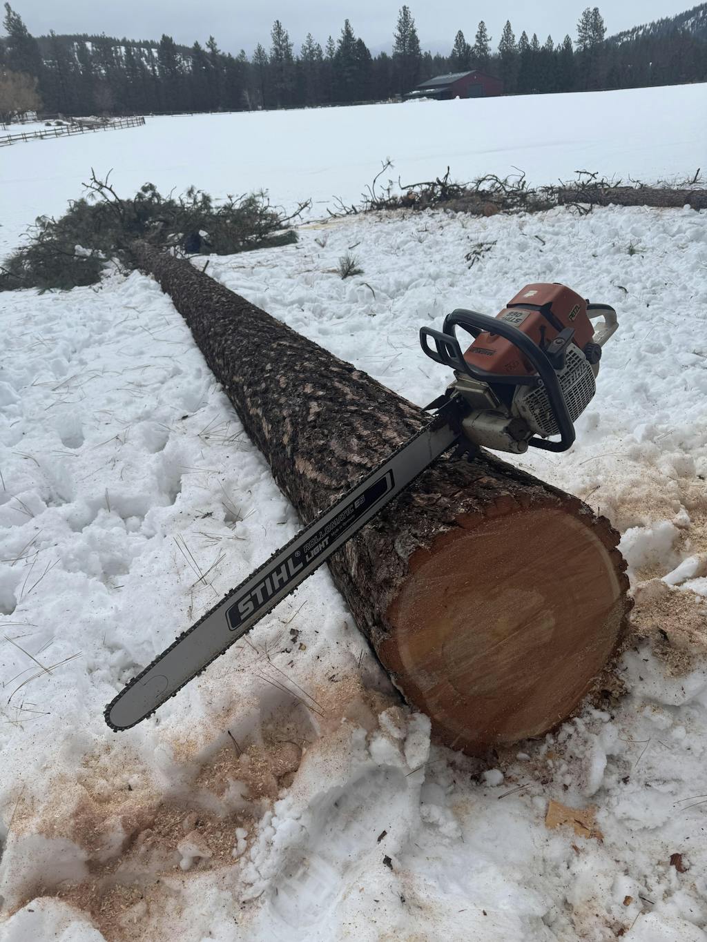 Chainsaw Kits | Chainsaw Customization | Westcoast Saw