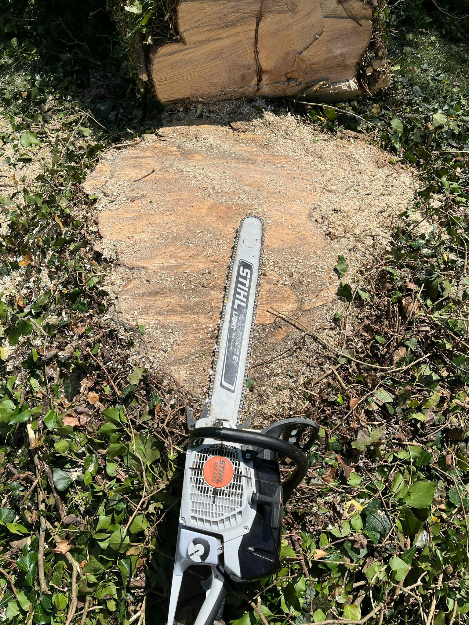 Chainsaw Kits | Chainsaw Customization | Westcoast Saw