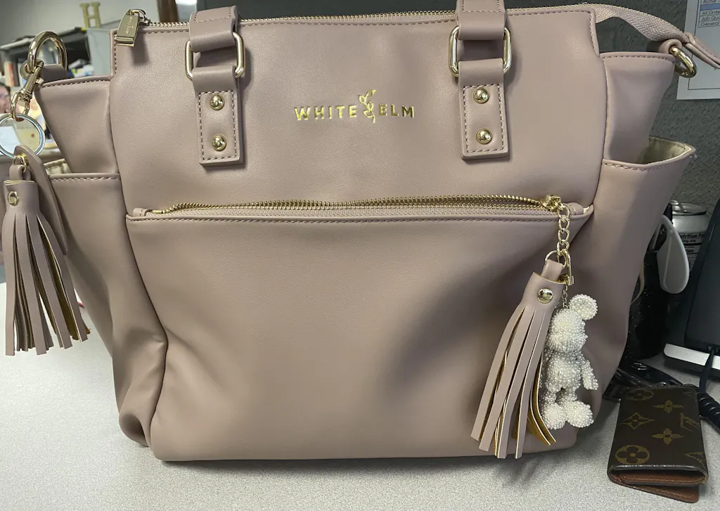 Gemini Mini Convertible Backpack Tote - Almond – White Elm