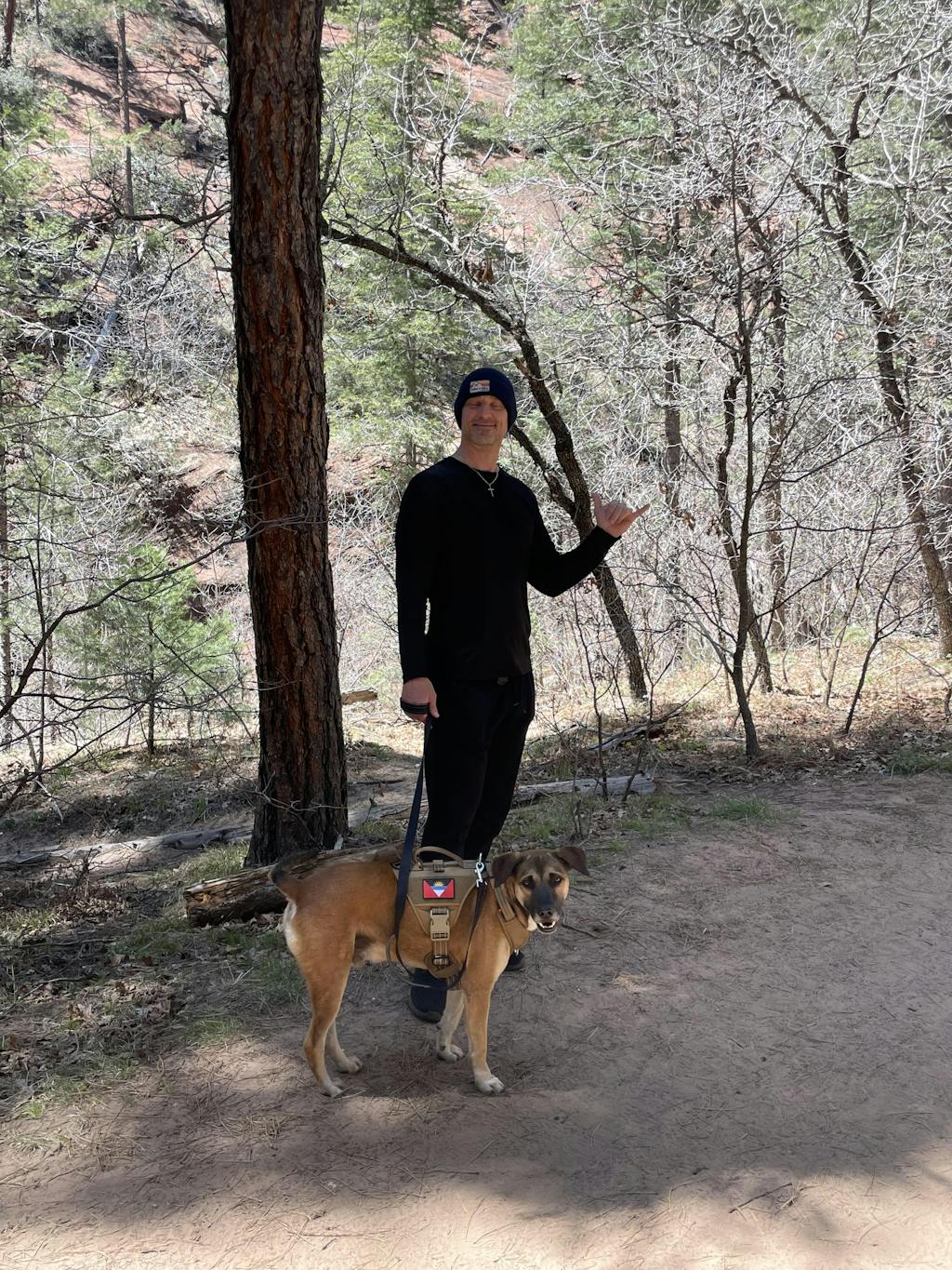 Treats for picky dogs: 5 recipes to try – Wholistic Pet Organics