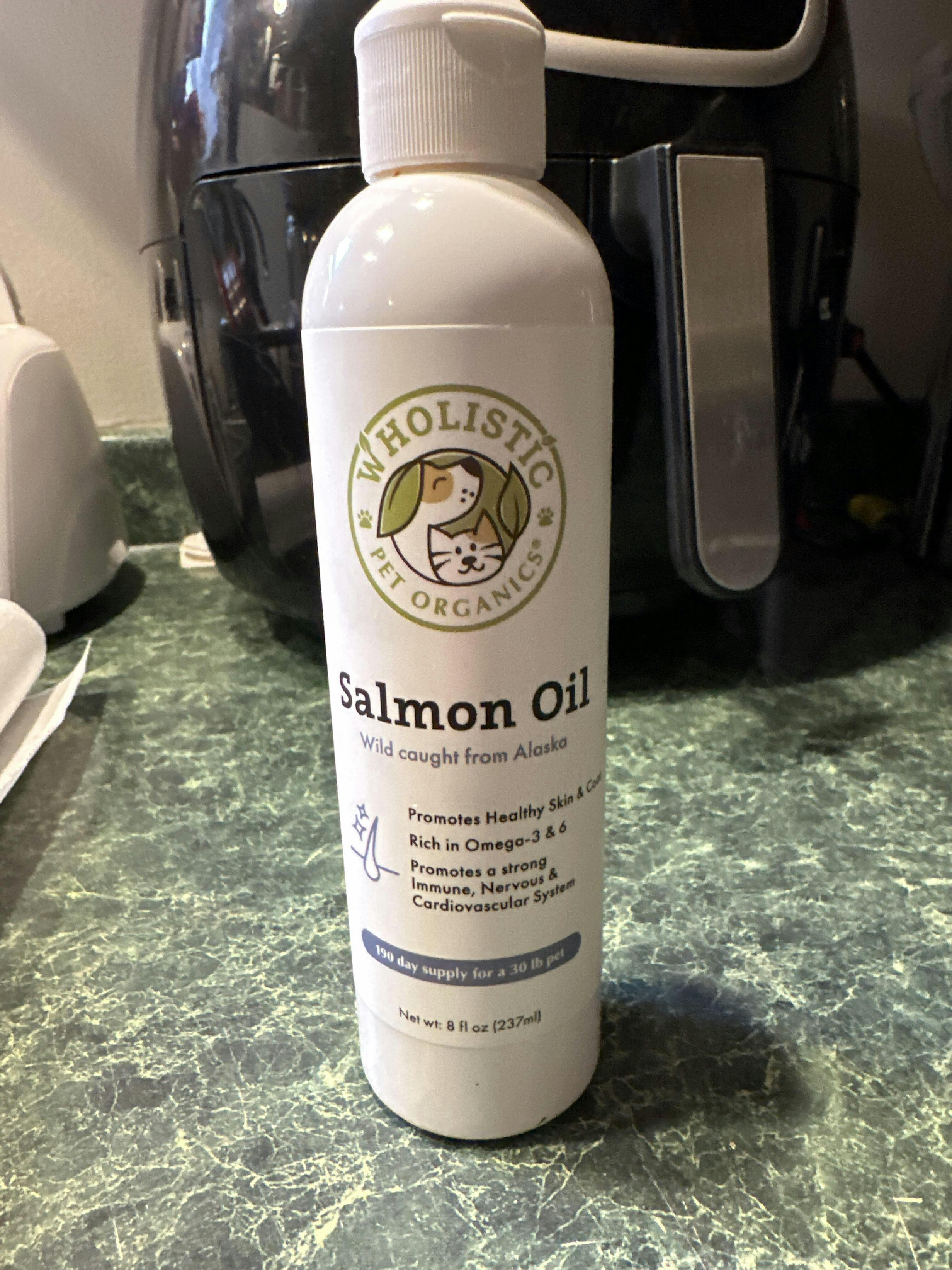 Treats for picky dogs: 5 recipes to try – Wholistic Pet Organics