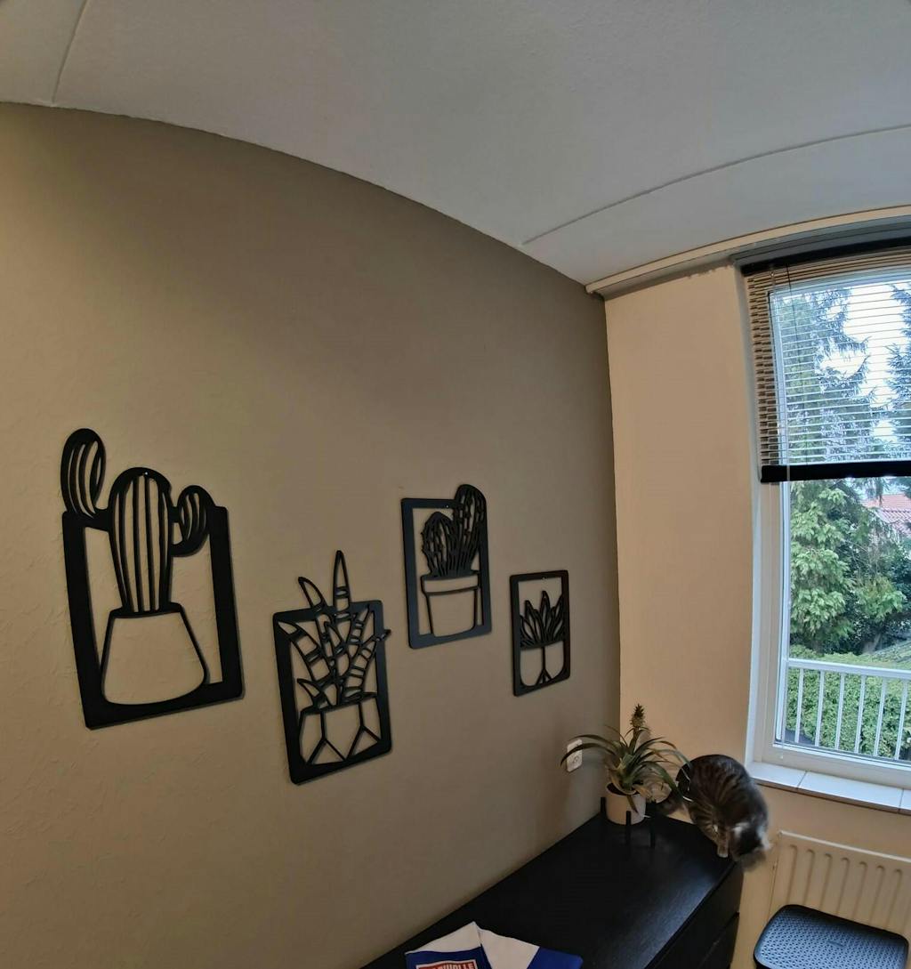 Houten wanddecoratie - cactussen - 4-luik | Wij Graveren Hout