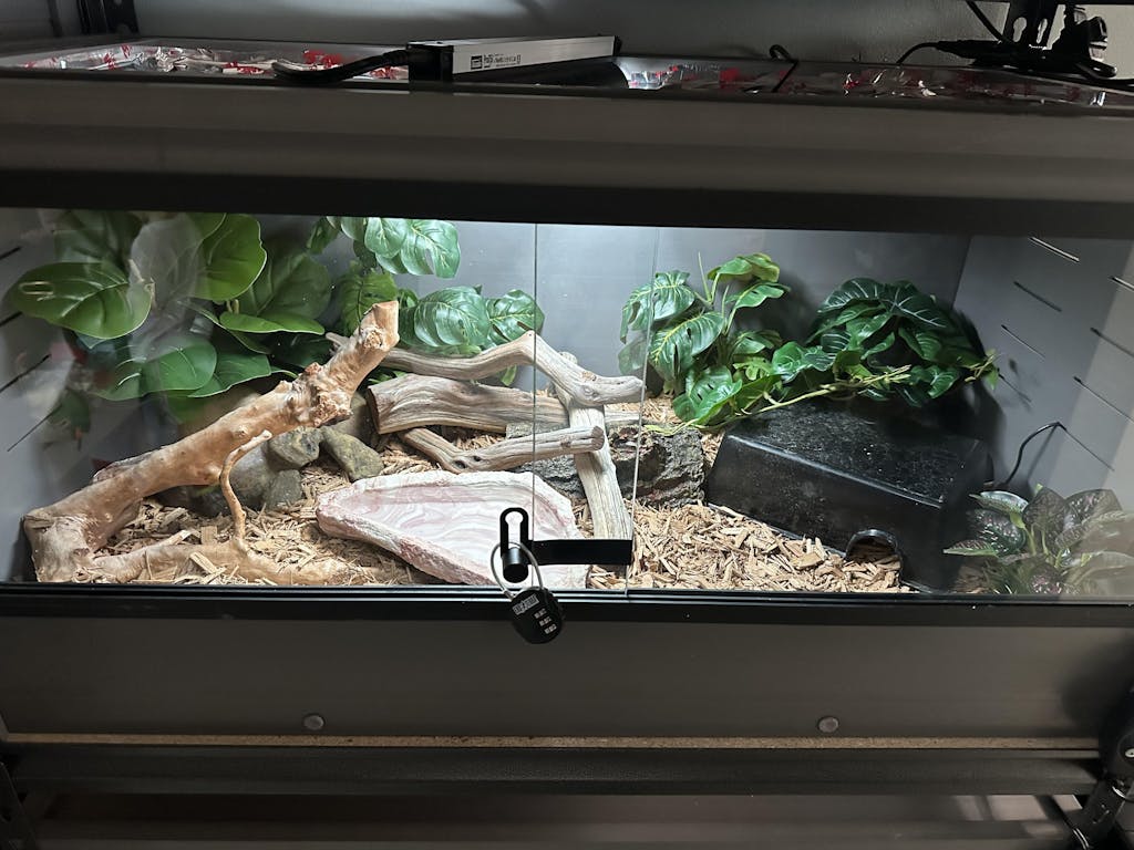 Wilbanks Radiant Heat Panel 80w – Wilbanks Captive Bred Reptiles