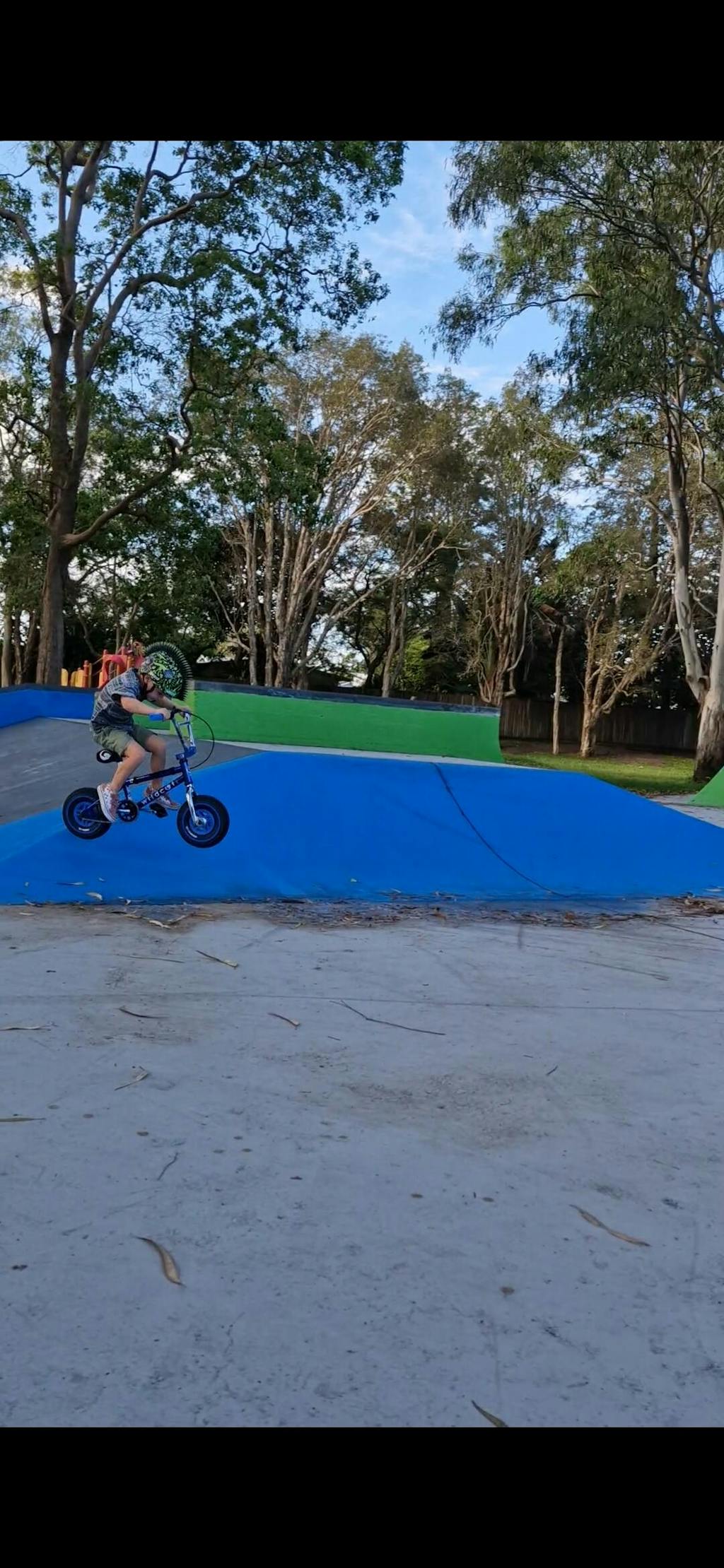 Best Mini BMX in USA + Canada | Wildcat Mini BMX Bikes