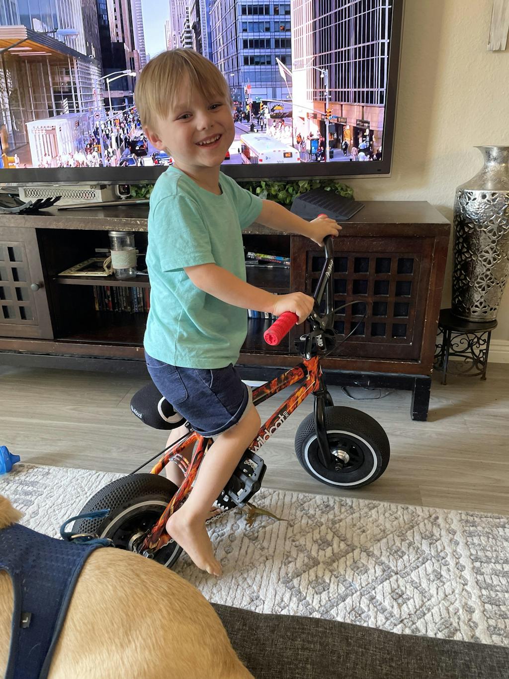 Best Mini BMX in USA + Canada | Wildcat Mini BMX Bikes