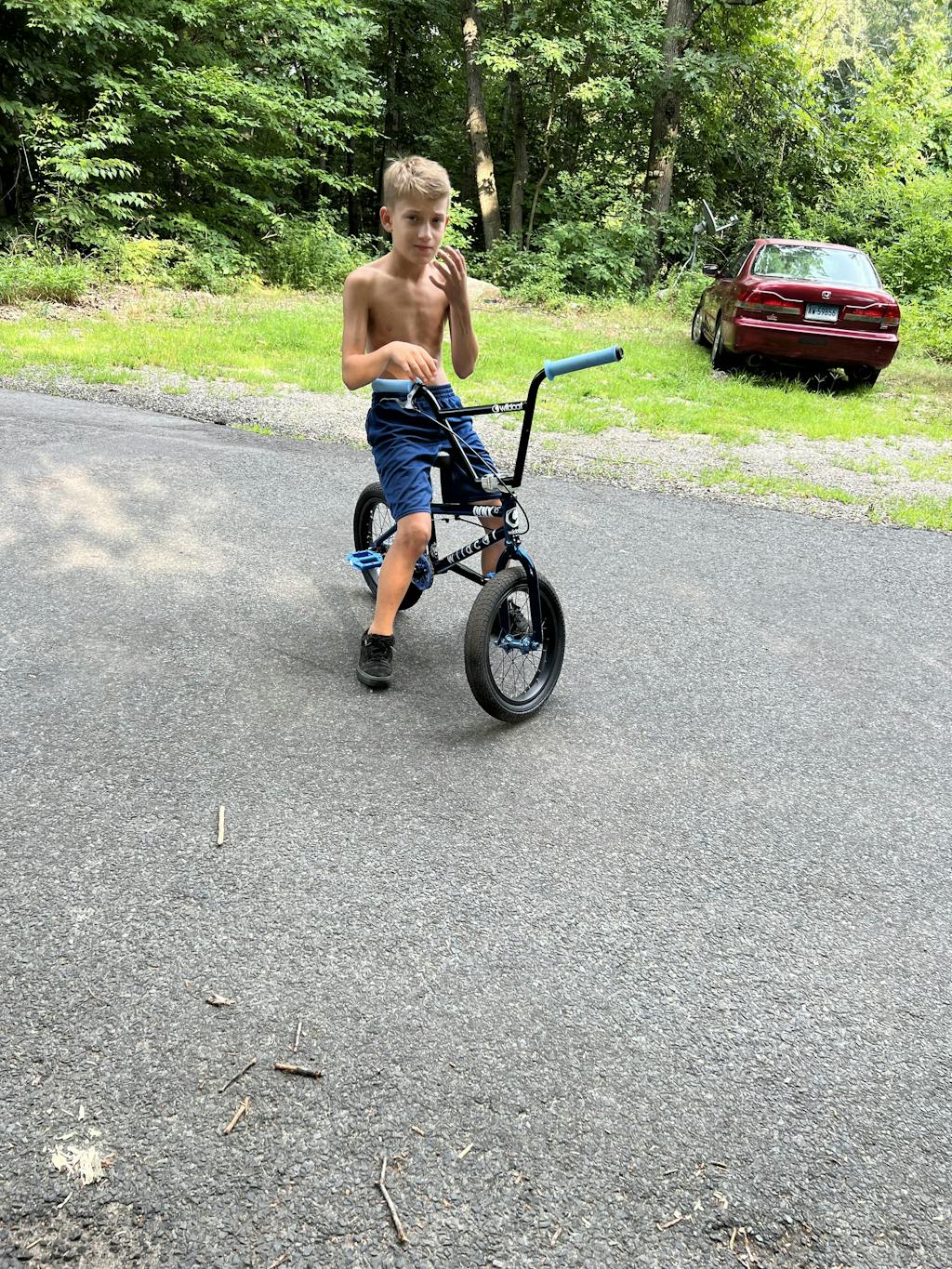 Wildcat Mini BMX Bikes | Best Mini Stunt Bike for kids