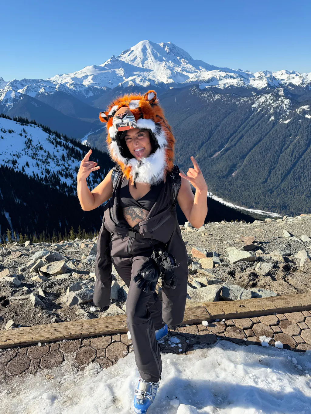 THE TIGER HOOD, v5 – Wildcoat