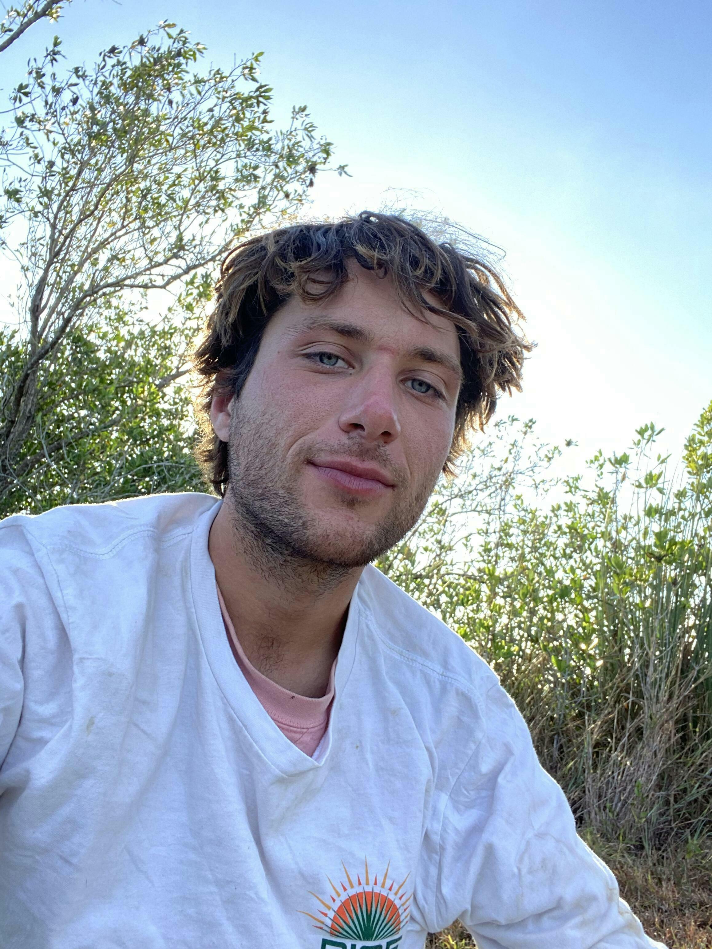 Here Comes the Sun Powdered Leaf - Wildcraft Herb Company