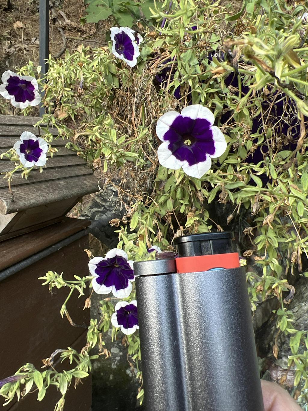 Worlds Finest One Hitter and Dugout - The PIRATE PIPE -by WILLEM DAVID