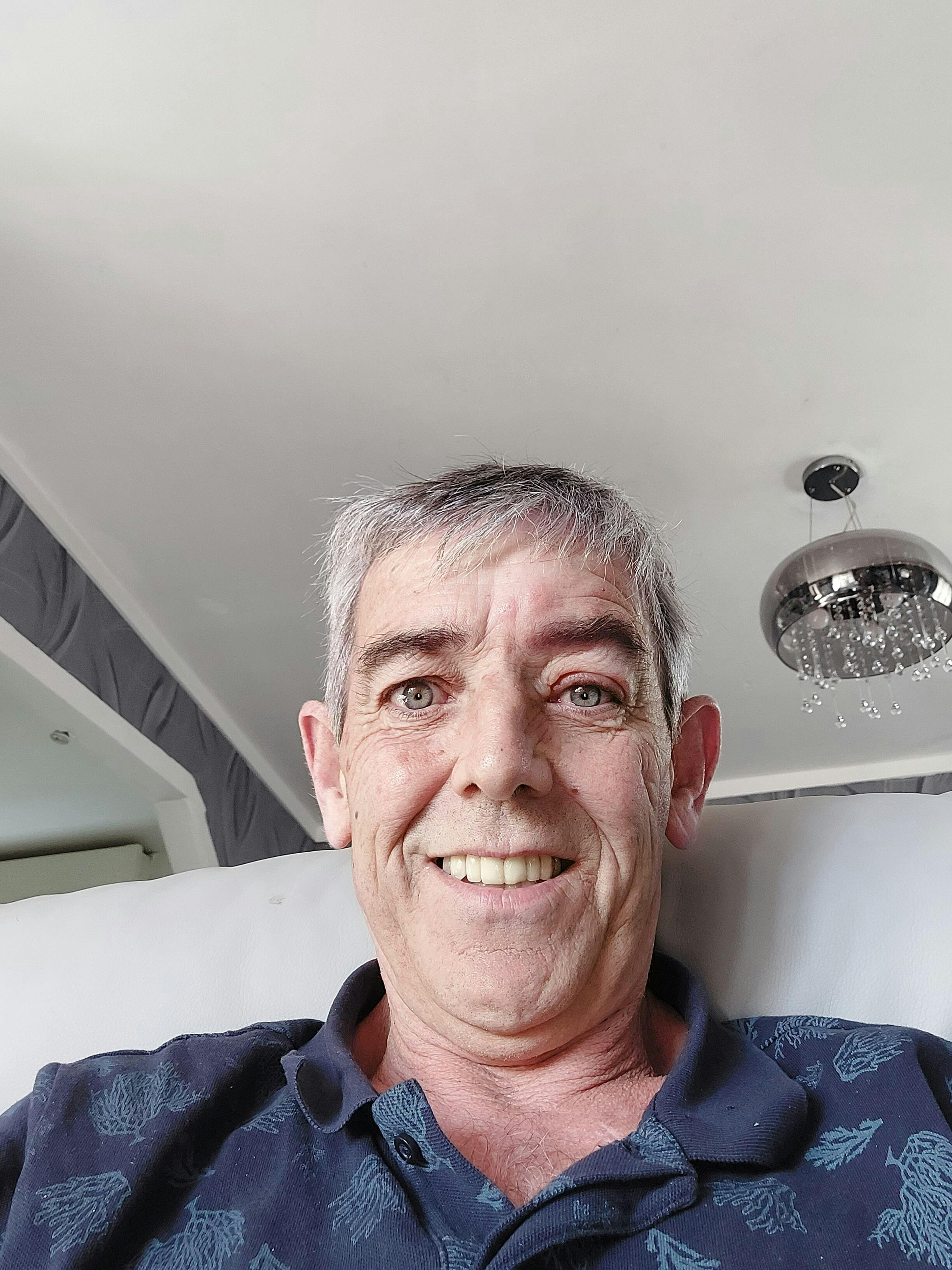 Rosier grimpant Musimara - Rosa musimara