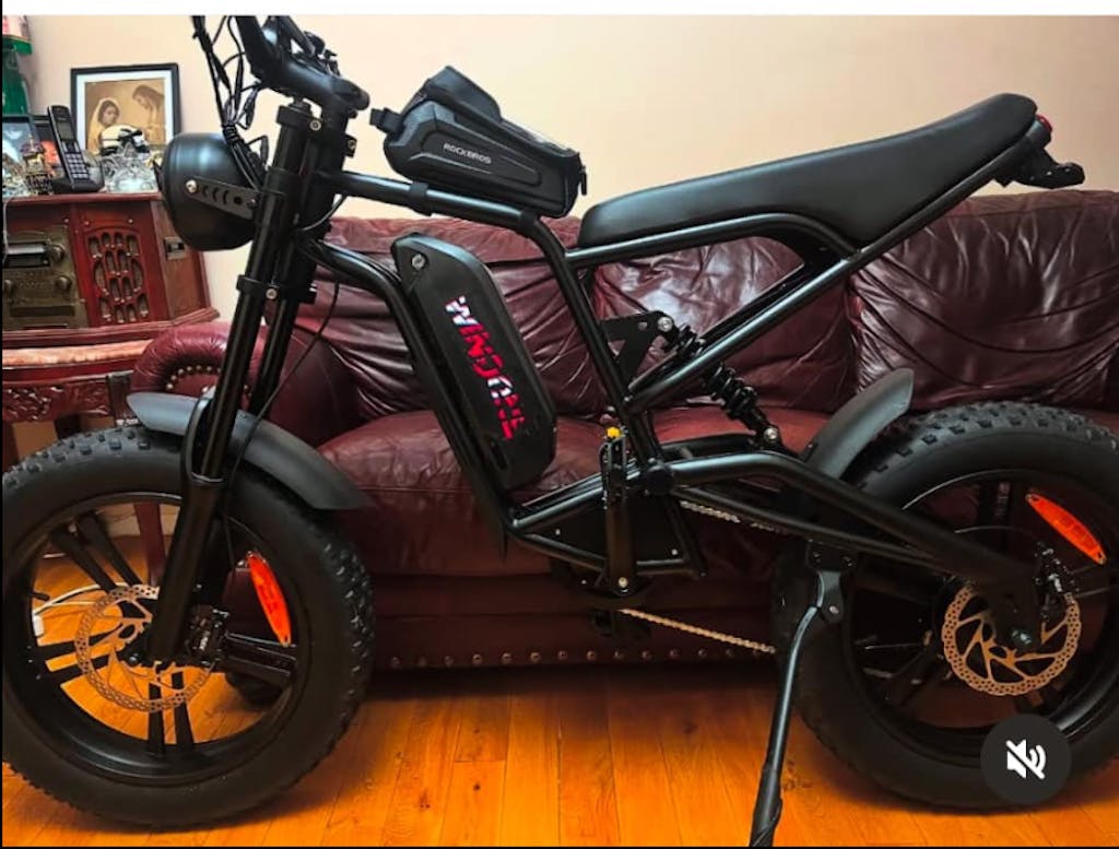 Windone E2 Fat Tire Off Road Urban Commuter Electric Bike