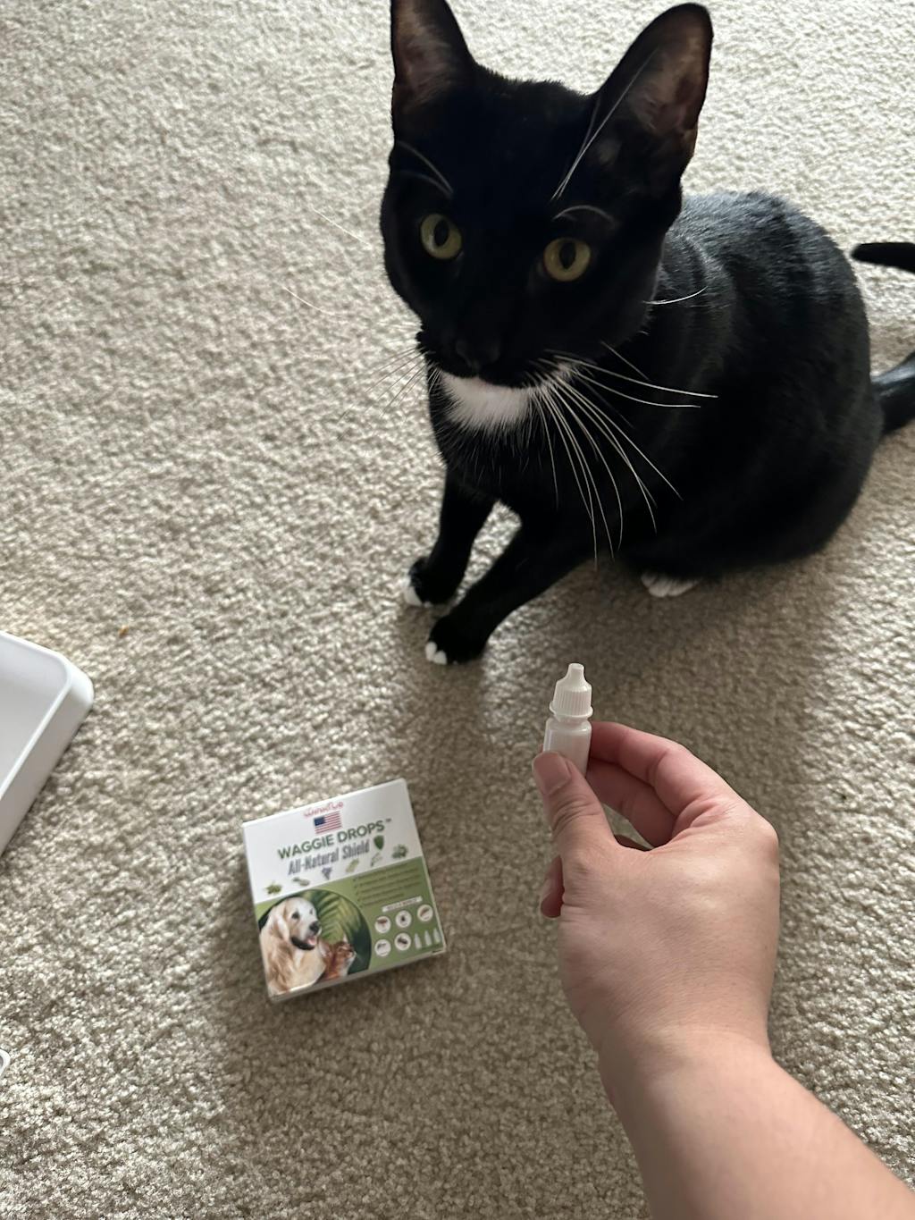 Waggie Drops™ - Natural Anti-Flea, Tick, & Mosquito Spot-Ons (SAFEST 5 ...