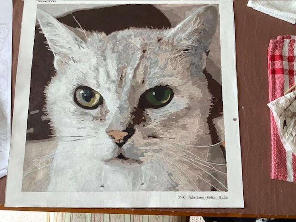 Photo to Custom Paint by Numbers | Up To 48 Colors | Winnie's Picks