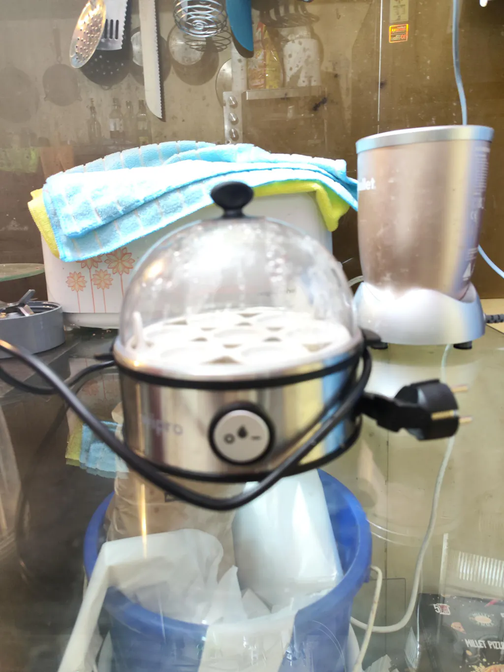 Buy Electric Egg Boiler 360W – 7 Eggs | Wipro Appliances