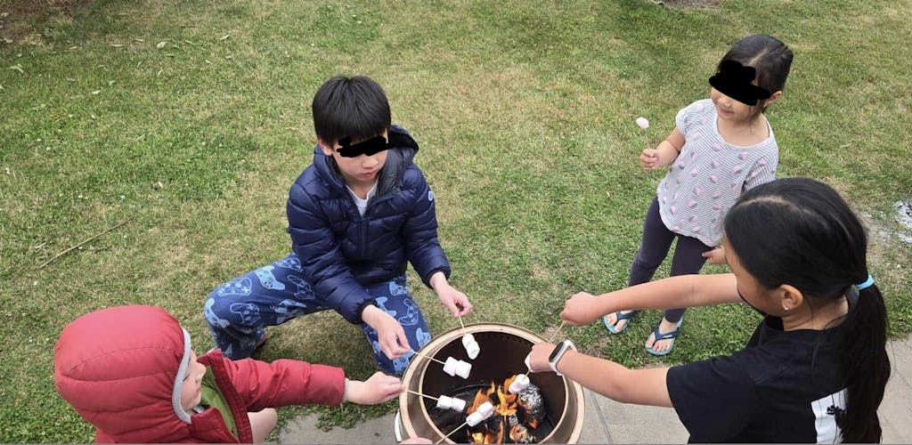 NZ Smokeless Fire Pits by Wizard®️ | Bonfire | Campfire | Homefire ...