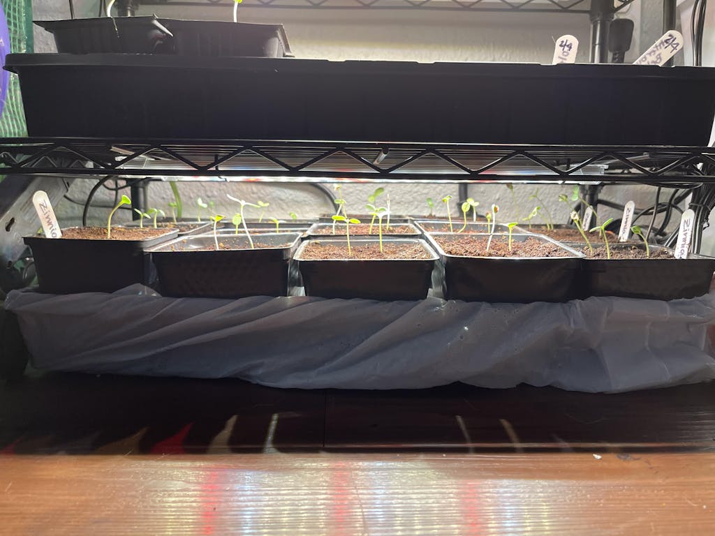 Premium Organic Potting Soil Mix With Nutrients | Wonder Soil