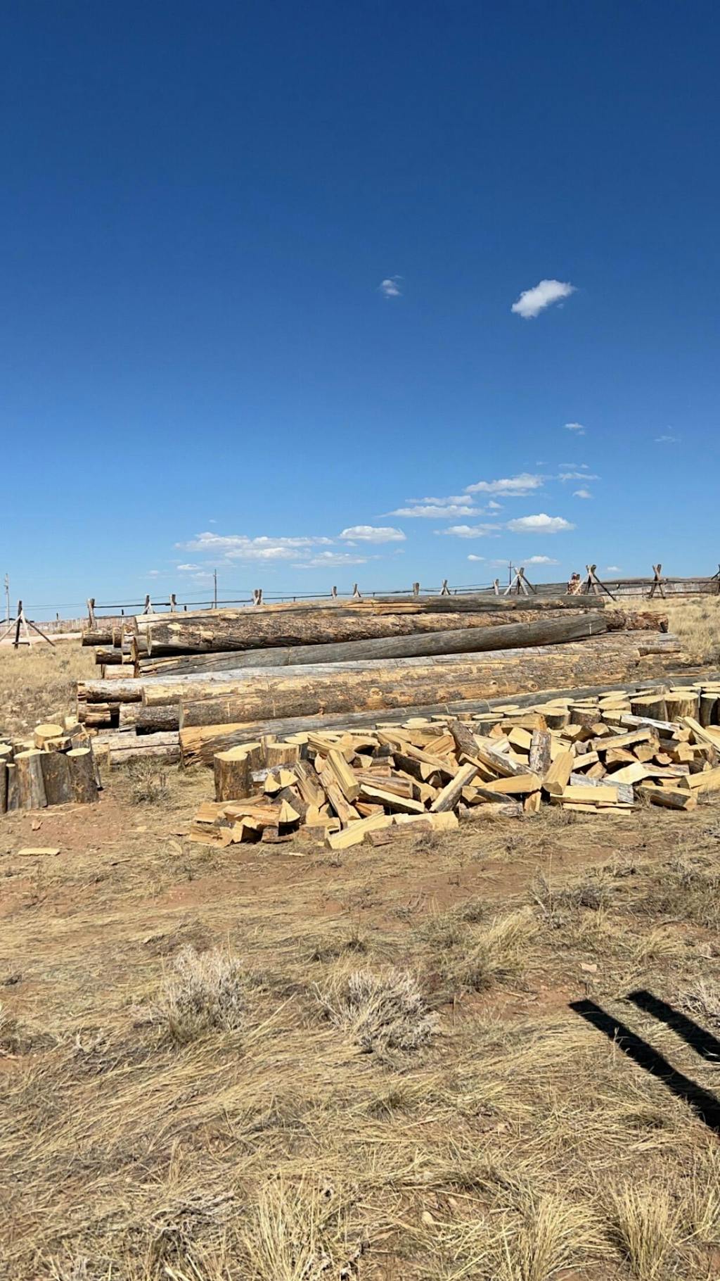 SuperHandy Portable 20 Ton 7HP Gas Powered Log Splitter (GUO077) – Wood ...