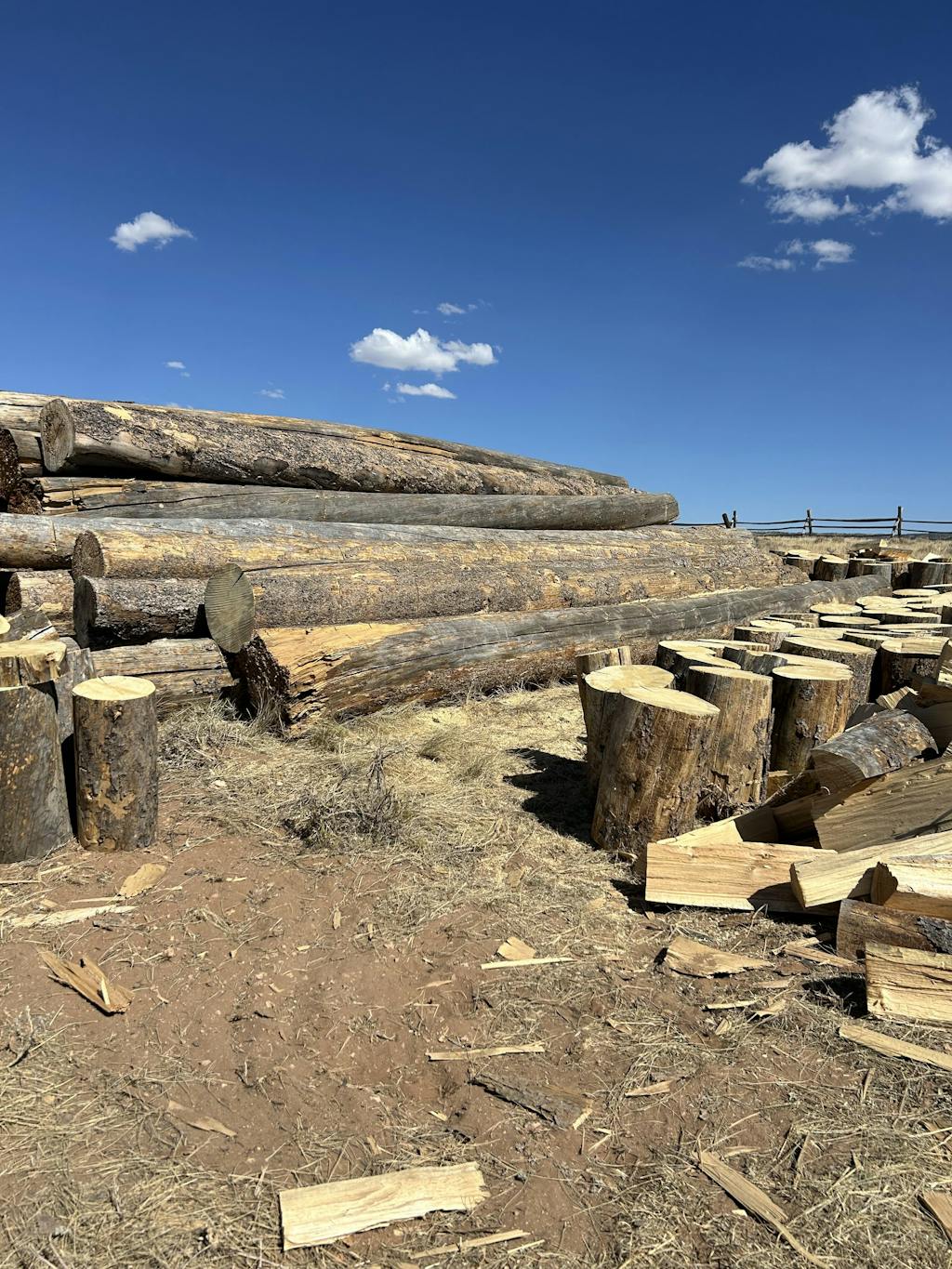 SuperHandy Portable 20 Ton 7HP Gas Powered Log Splitter (GUO077) – Wood ...