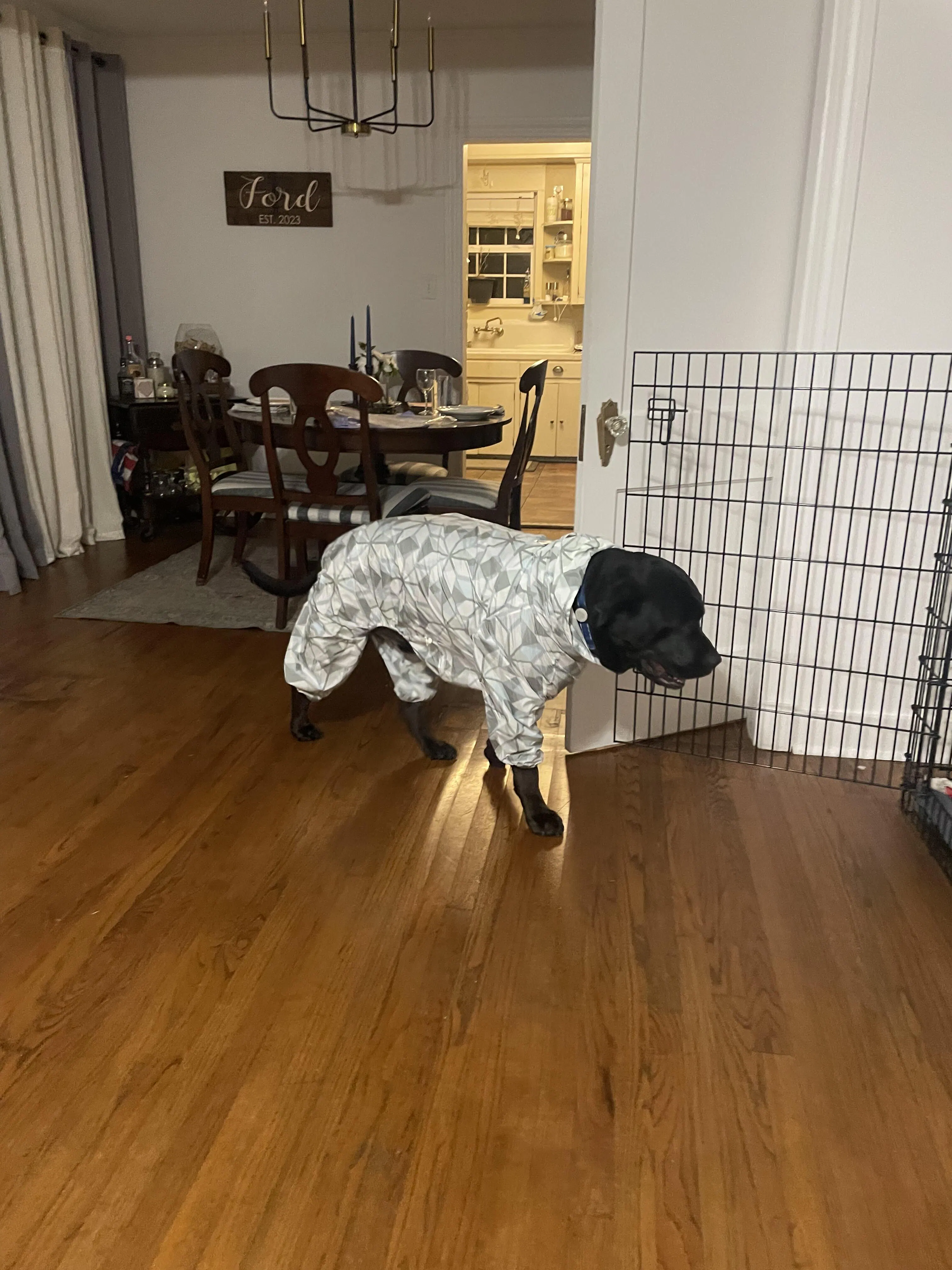 Waterproof Dog Raincoat & Slicker for Large Breeds by WOOFESSENTIAL