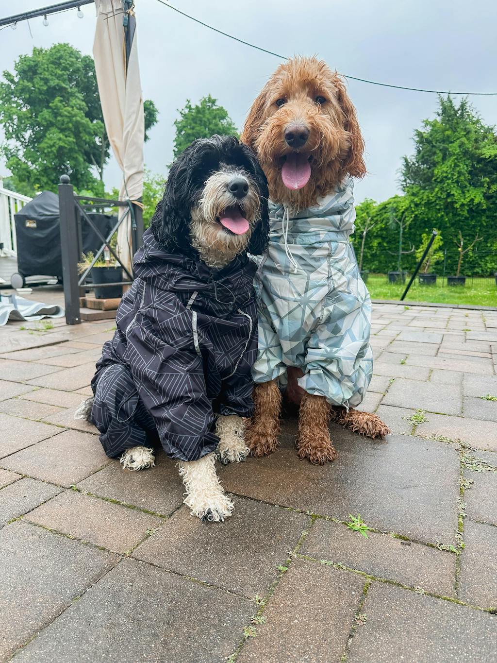 Waterproof Dog Raincoat & Slicker for Large Breeds by WOOFESSENTIAL