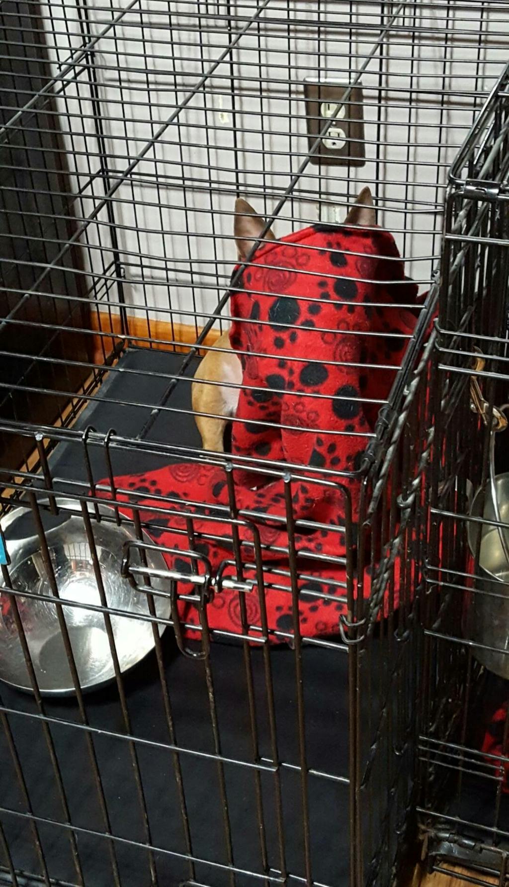 Impact Crate Pads | Primo Pads