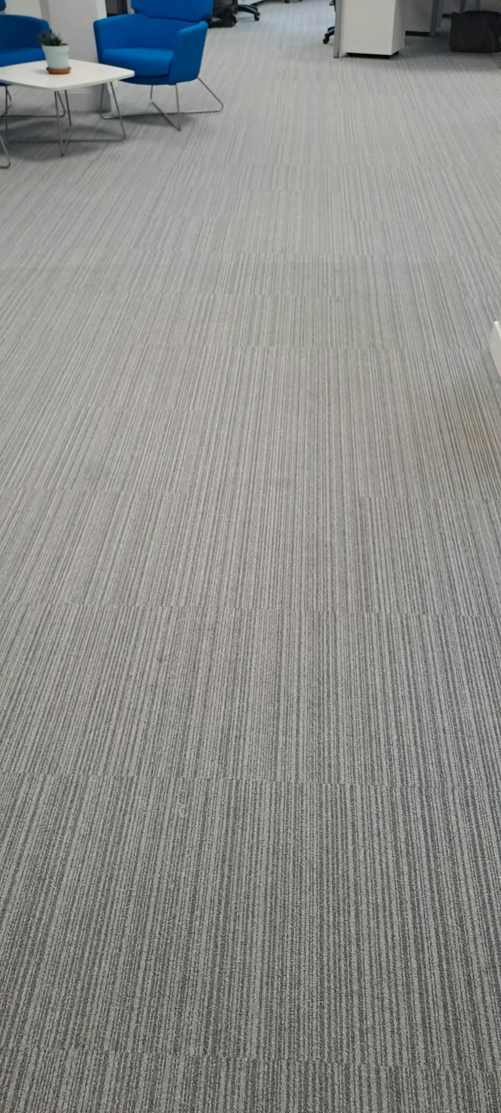 Nitro Carpet Cleaning Chemical | World of Clean