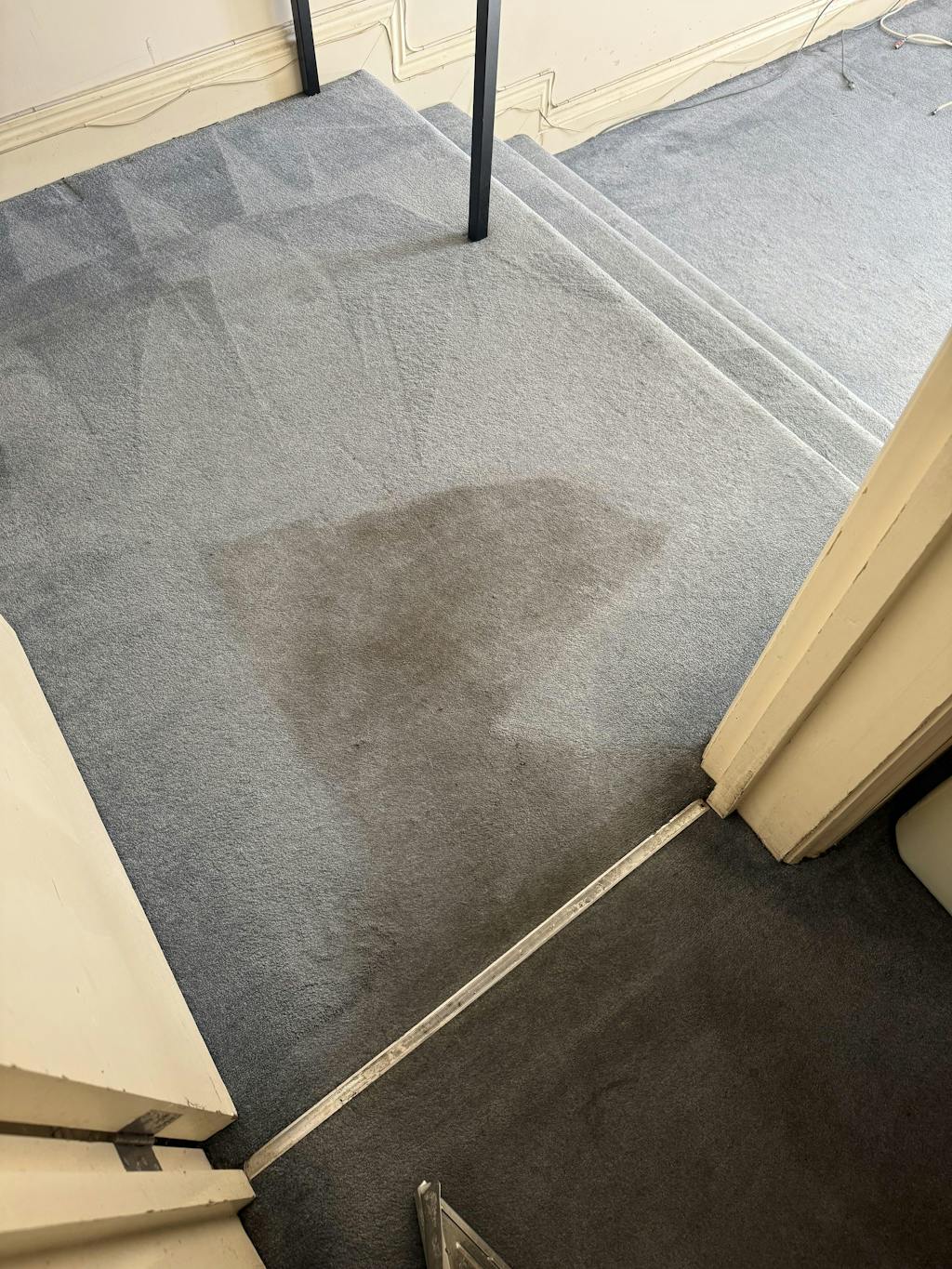 Shockwave Carpet Cleaning Chemical | World of Clean