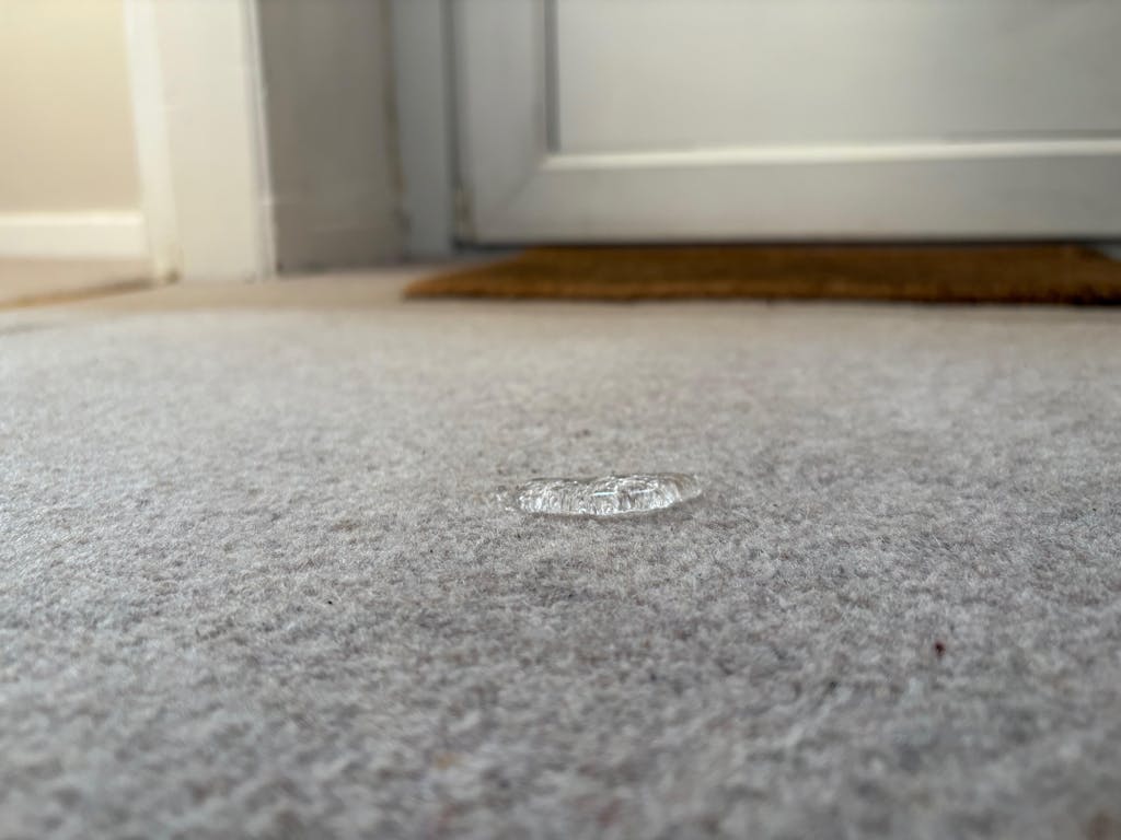 Carpet Stain Protection Spray - Protect Nano | World of Clean