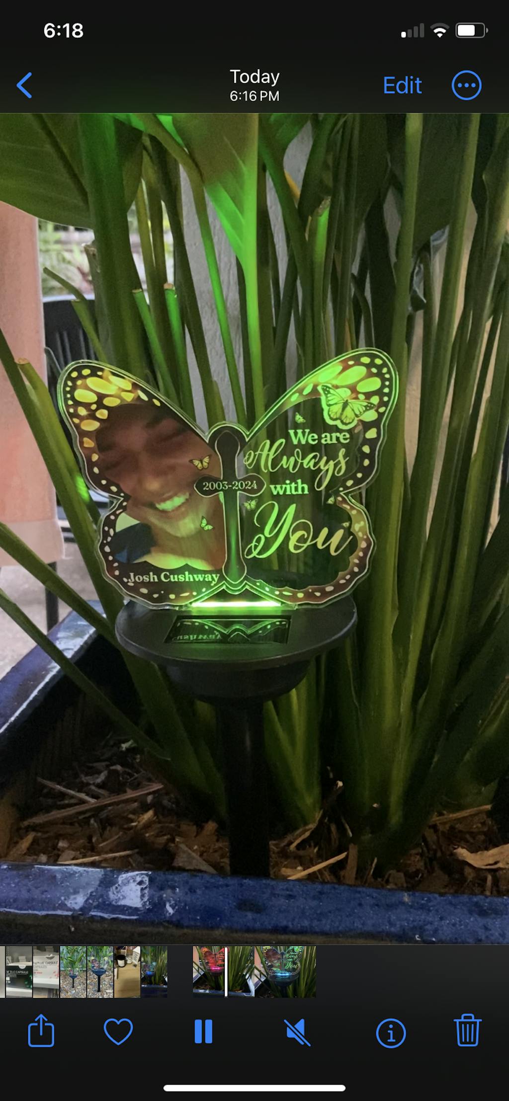 Custom Photo Your Wings Were Ready - Personalized Custom Solar Light ...