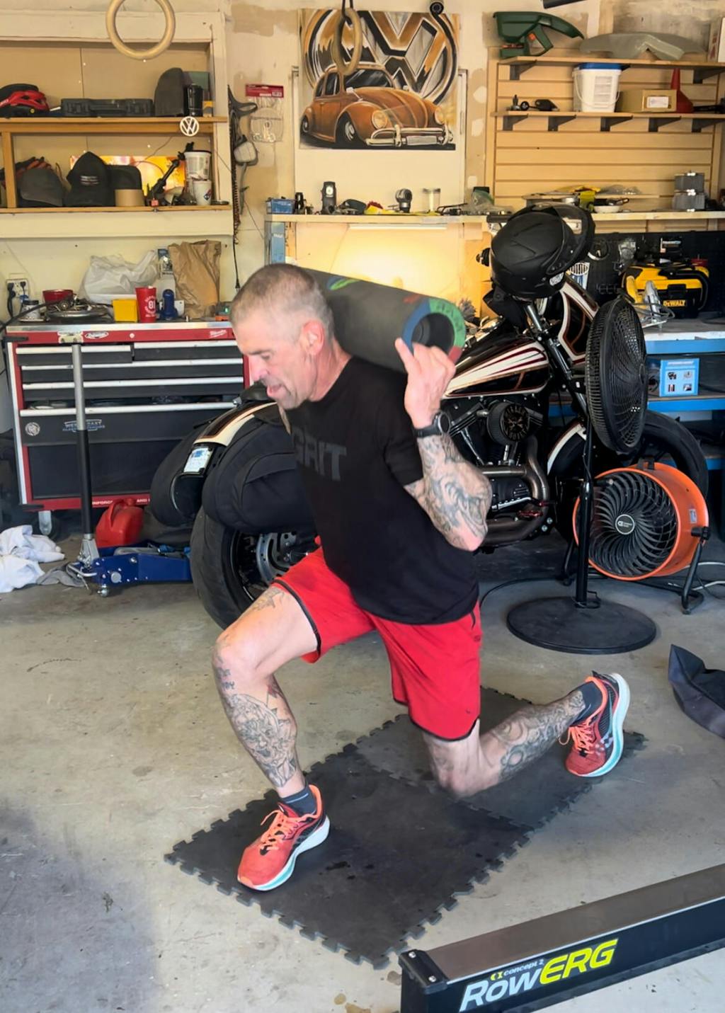 The 55 lbs RAM | RAMroller,Spartan RAM