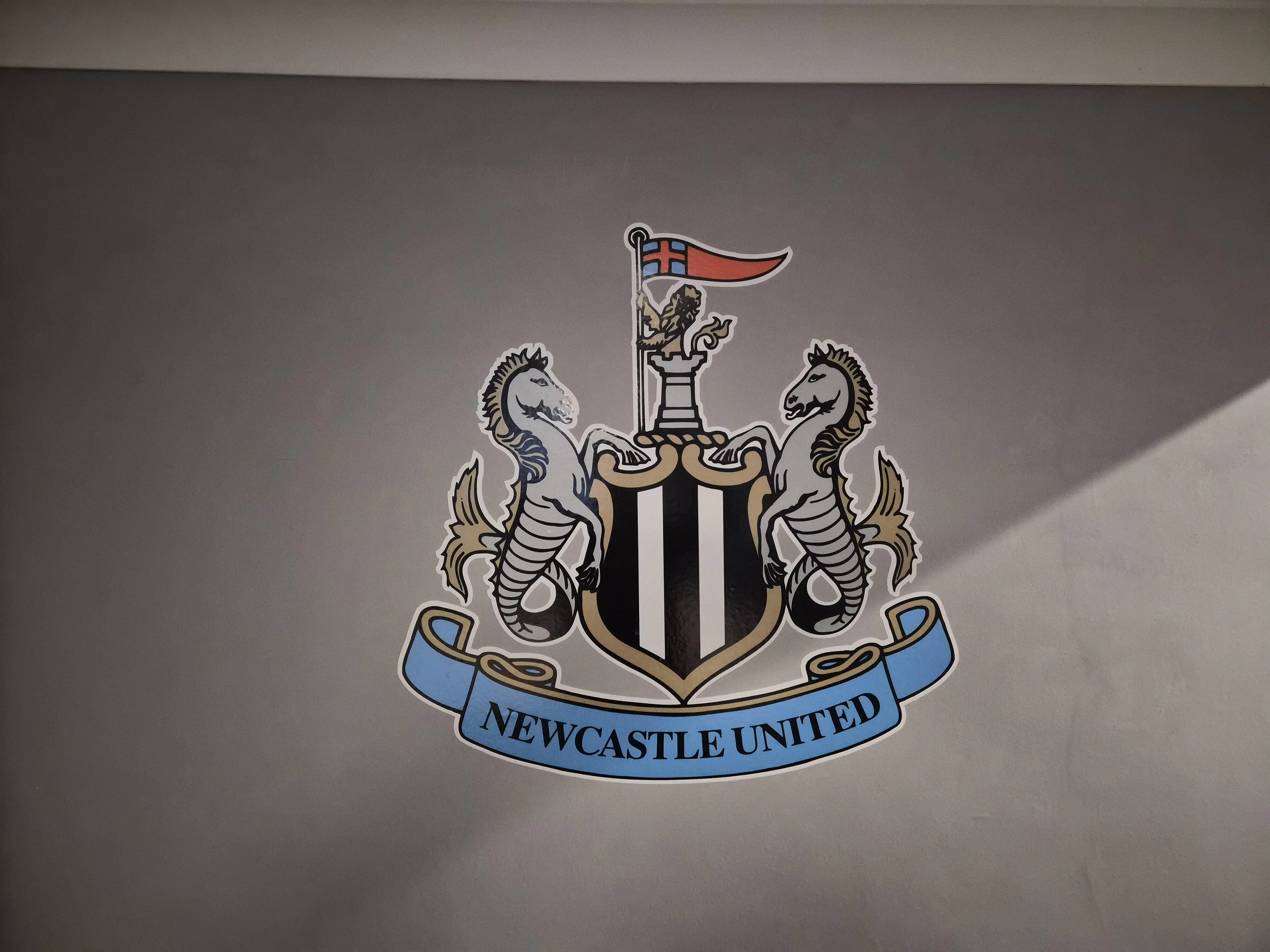 Newcastle United Football Club - Crest Wall Sticker – www.themed.co.uk