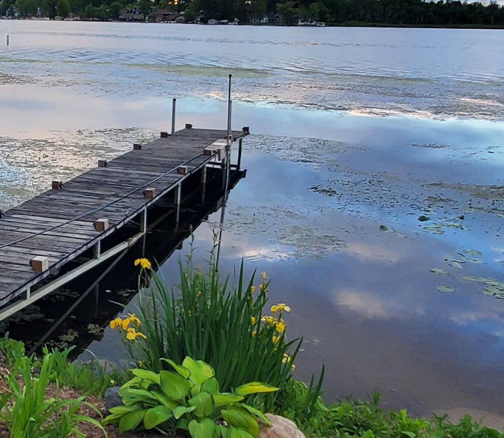 Scott Aerator Dock Mount Aquasweep Muck Blaster — Yard Focus