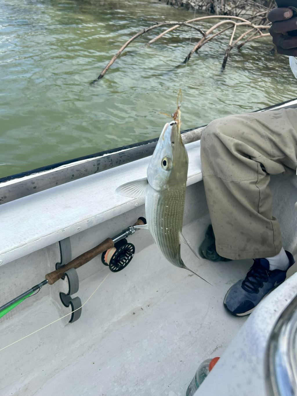 Bahamas Fly Assortment: Guide Recommended Flies | Yellow Dog Flyfishing