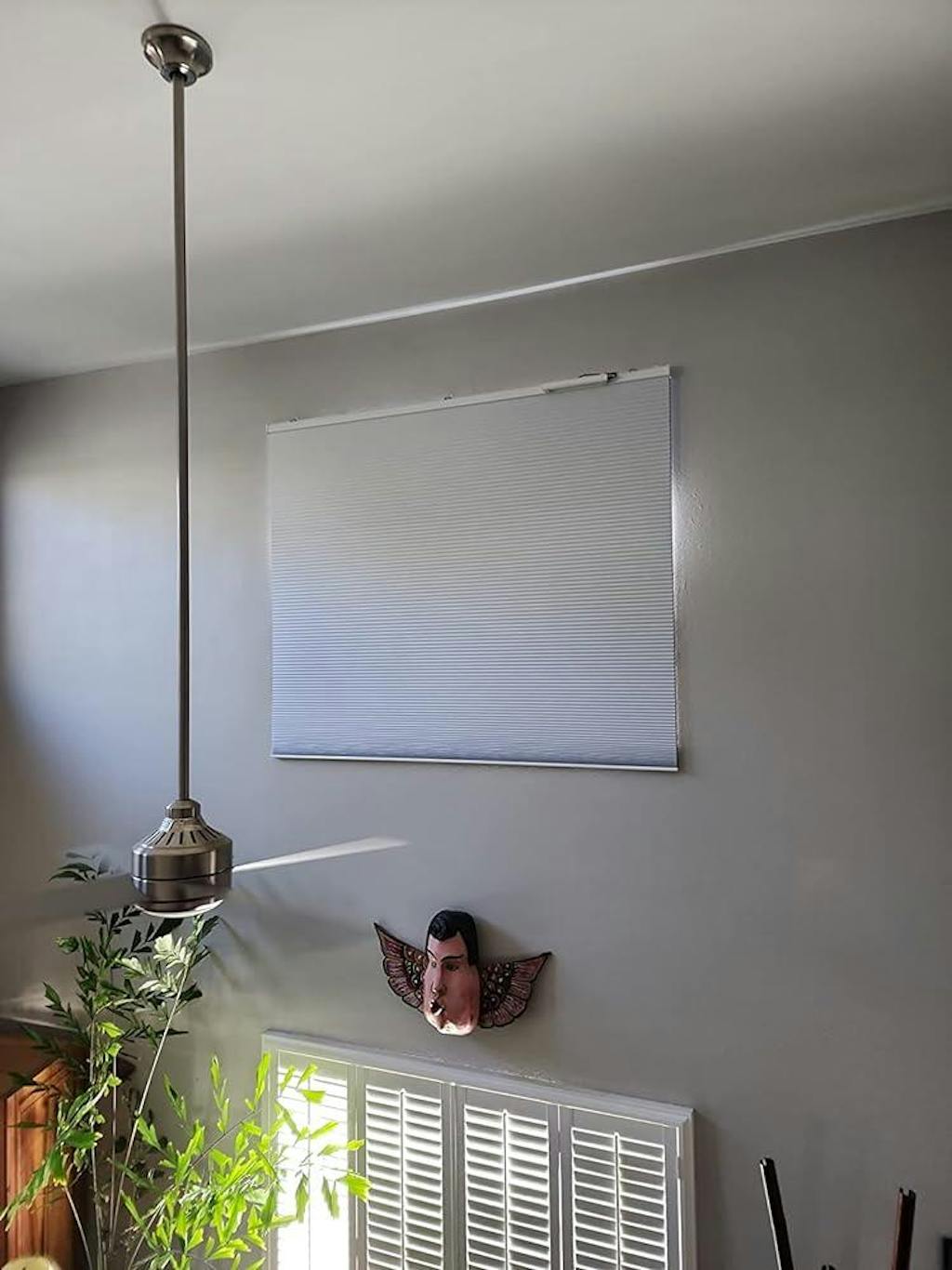 Collections – Yoolax