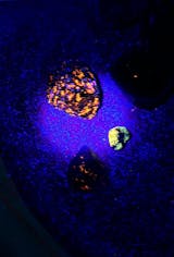 C8 Convoy Longwave 365nm Filtered UV Flashlight - Yooperlite Hunter Pa ...