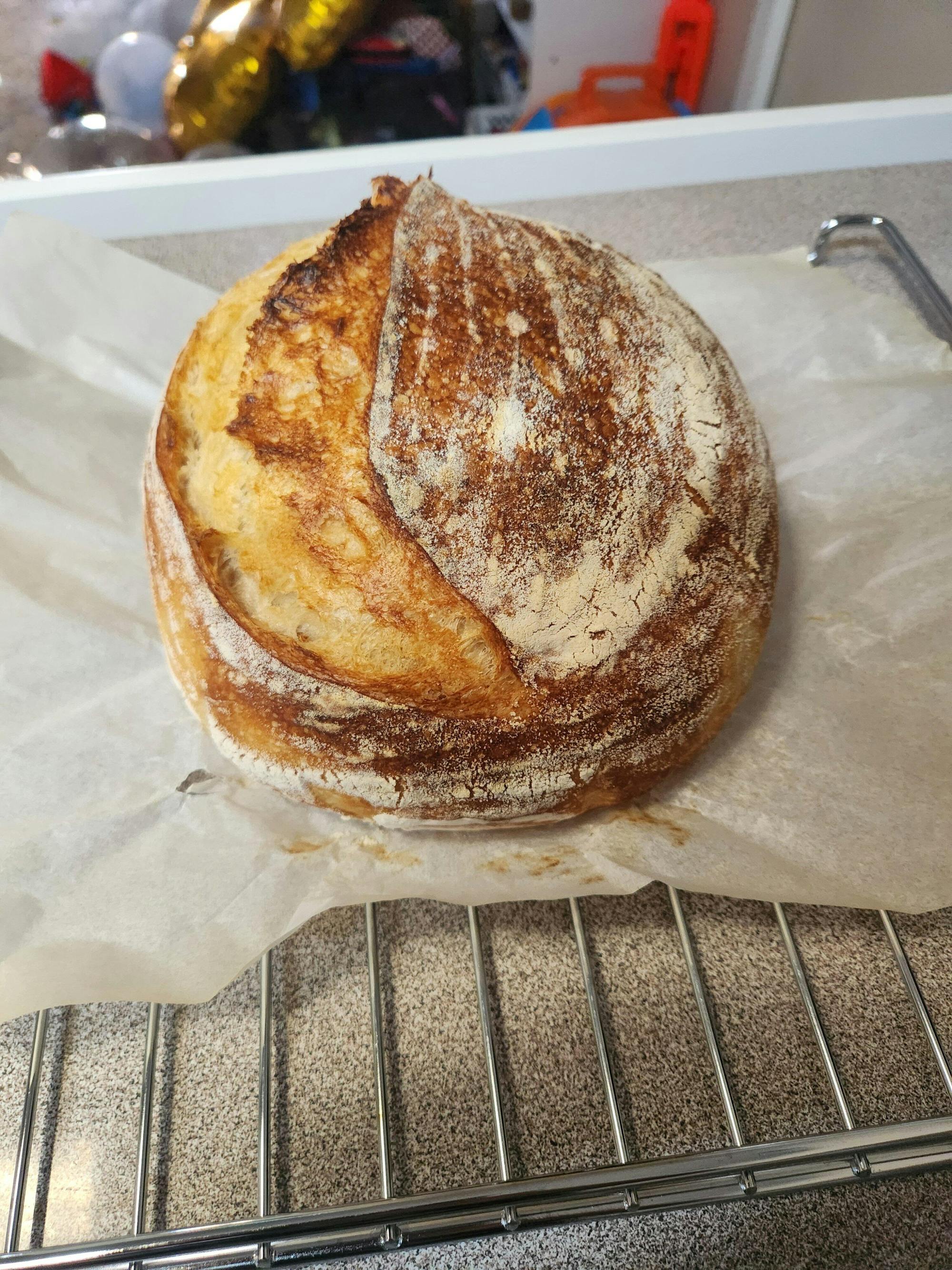 Sourdough Starter & Bread Making Kits | You Knead Sourdough