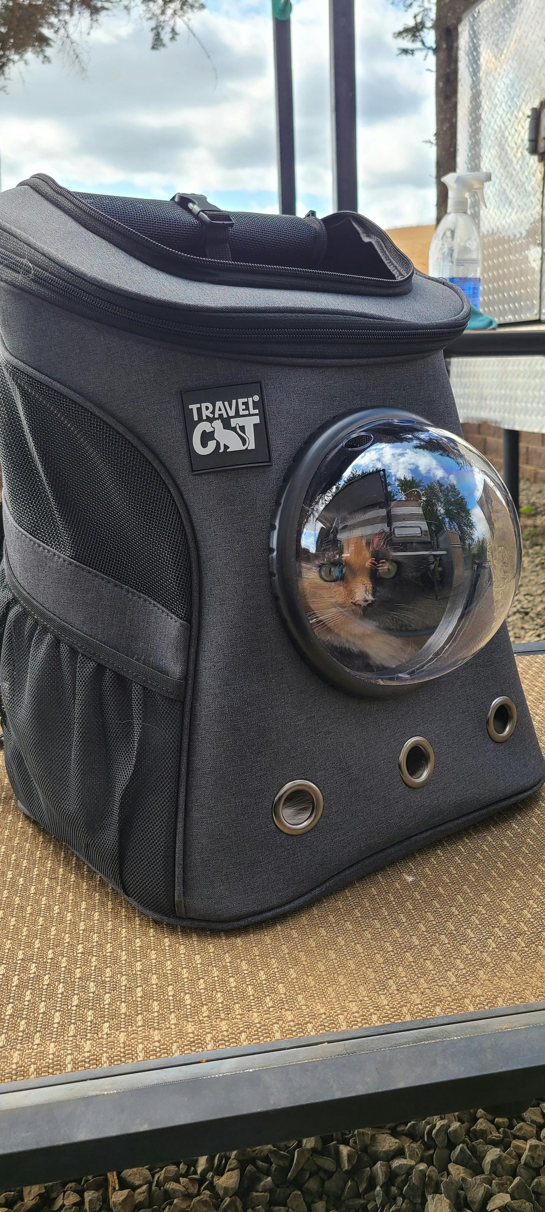 "The Fat Cat" Cat Backpack - For Larger Cats - Bubble Cat Carrier ...