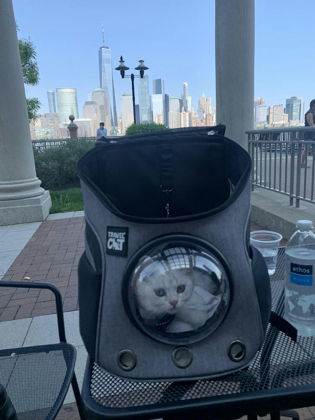 "The Fat Cat" Mini Cat Backpack - Purple – Your Cat Backpack by Travel Cat